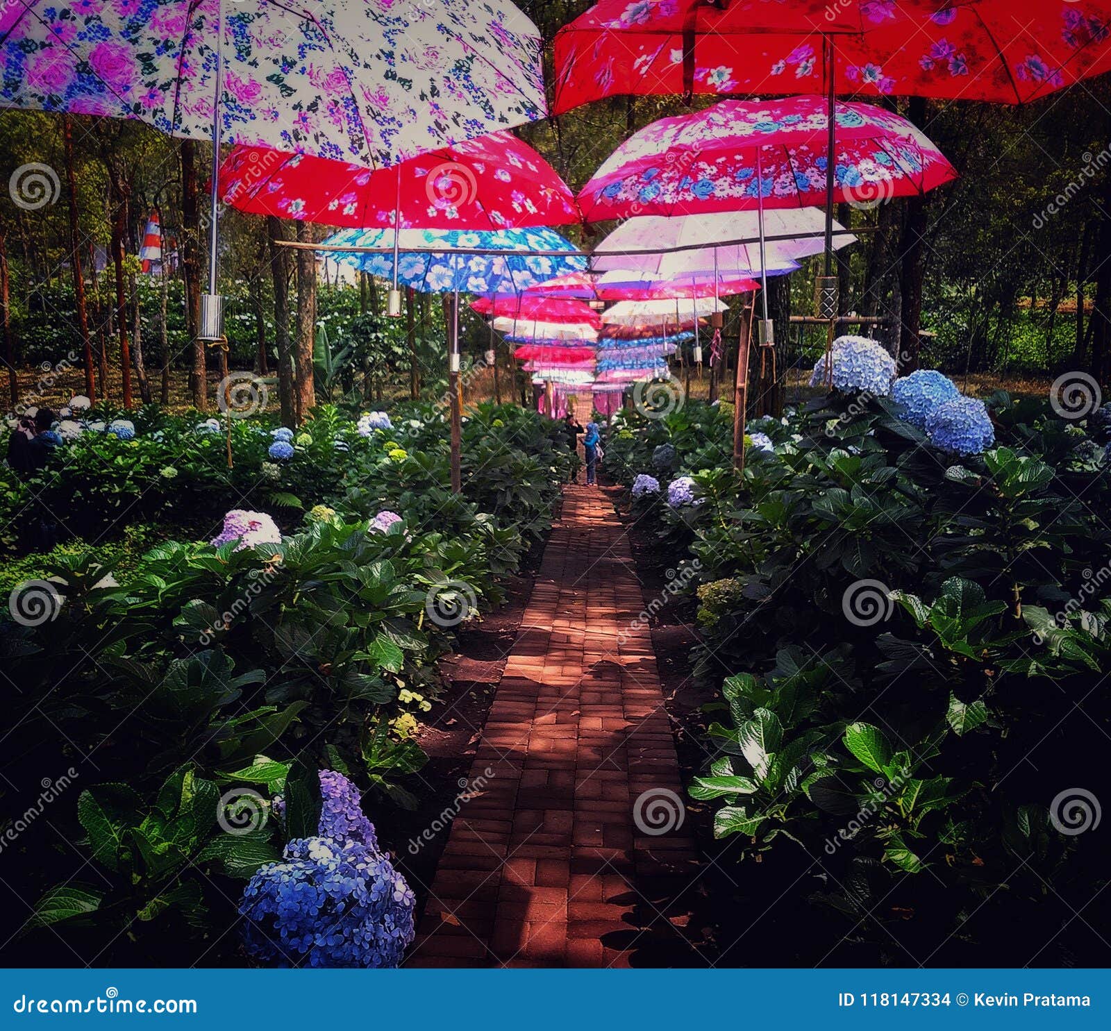 Under the Umbrellas editorial stock image. Image of umbrellas - 118147334