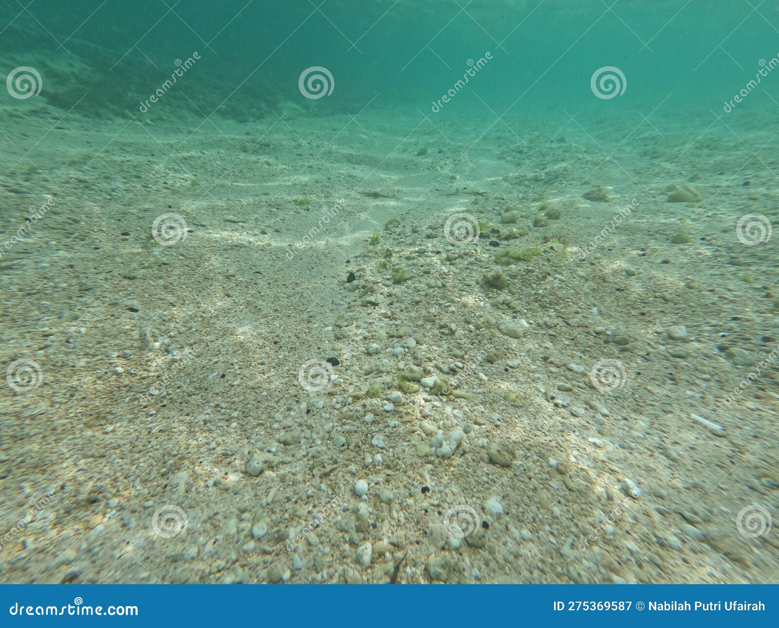 Under Water at Barak Beach Bali Stock Image - Image of reef, ocean ...