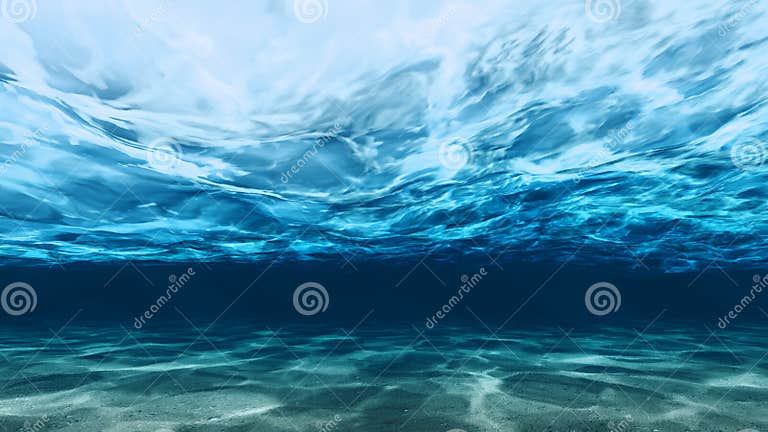 Under water stock photo. Image of shallow, seabed, sunlight - 43351434