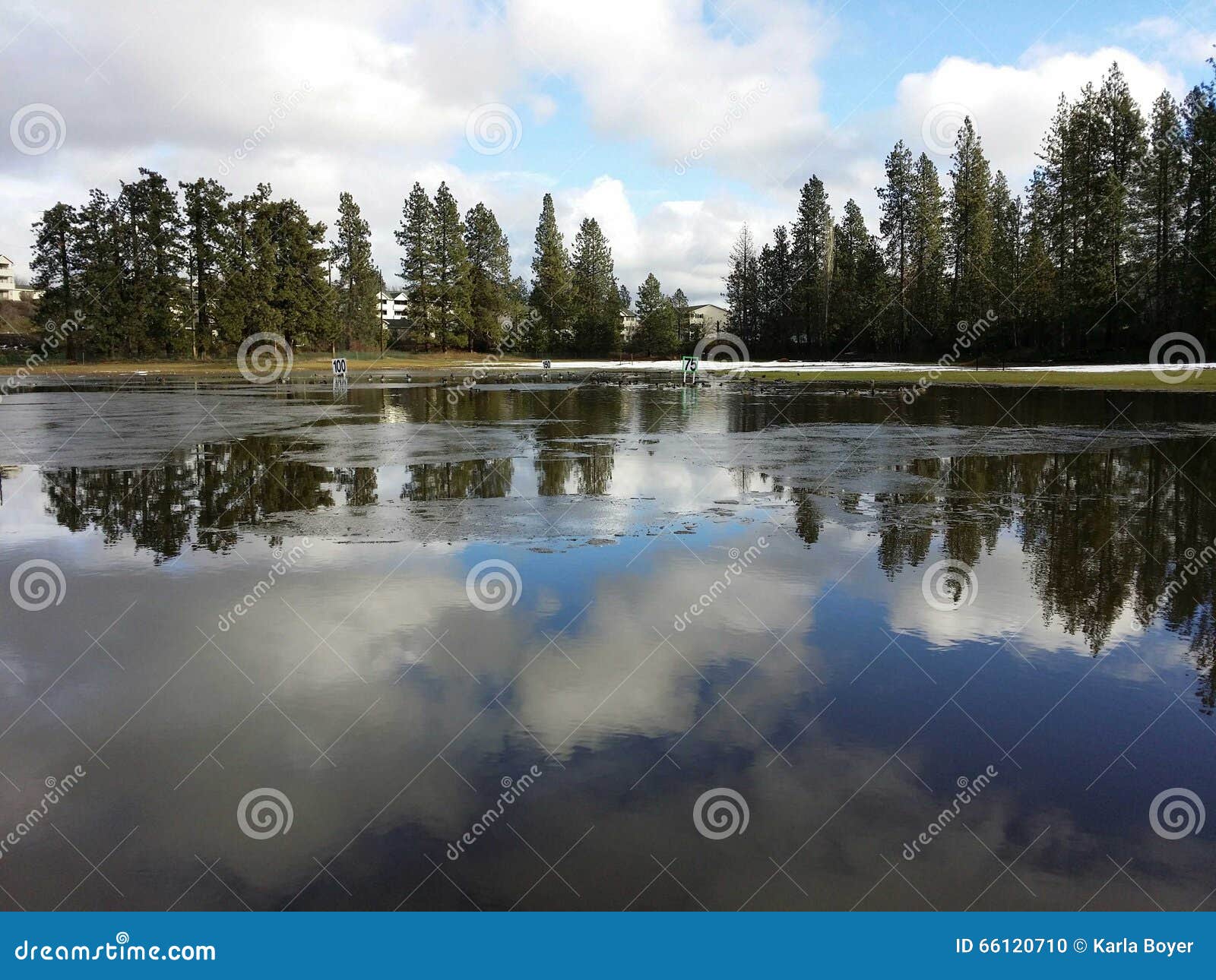 Under Water and Geese Golf Course Stock Photo - Image of water, golf ...