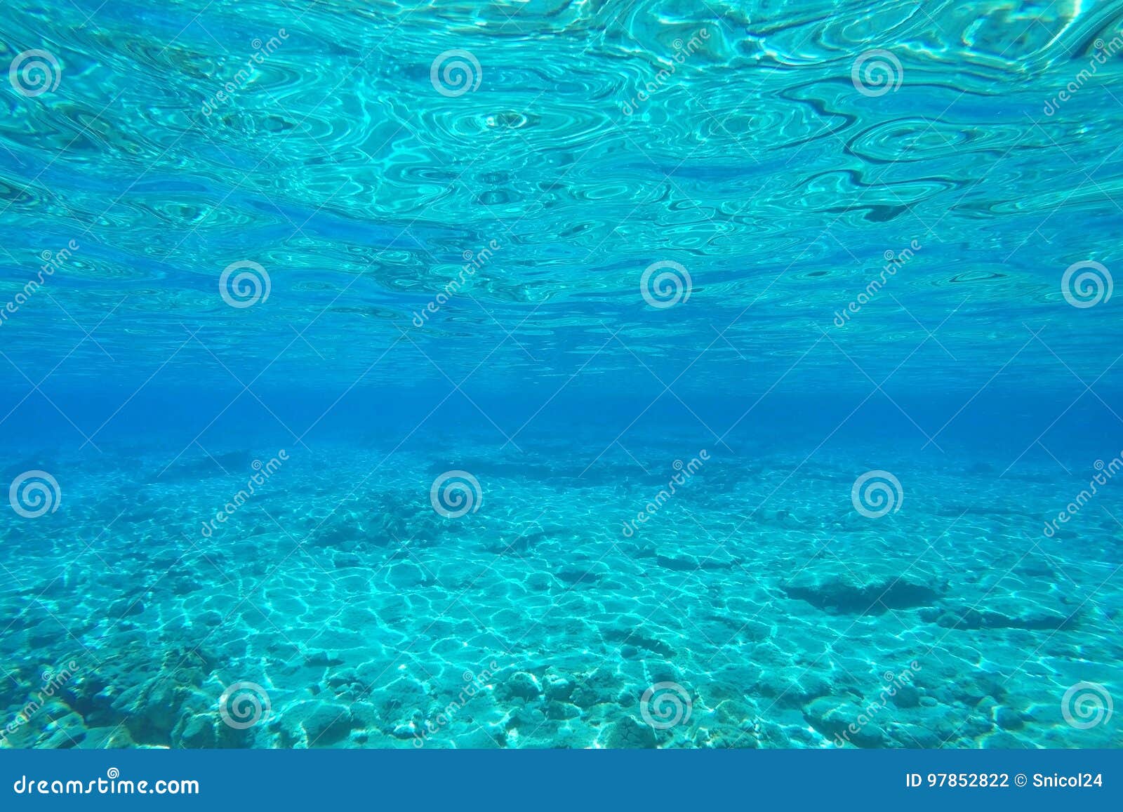 Under Water Marine Background Stock Photo - Image of shallow, fish ...