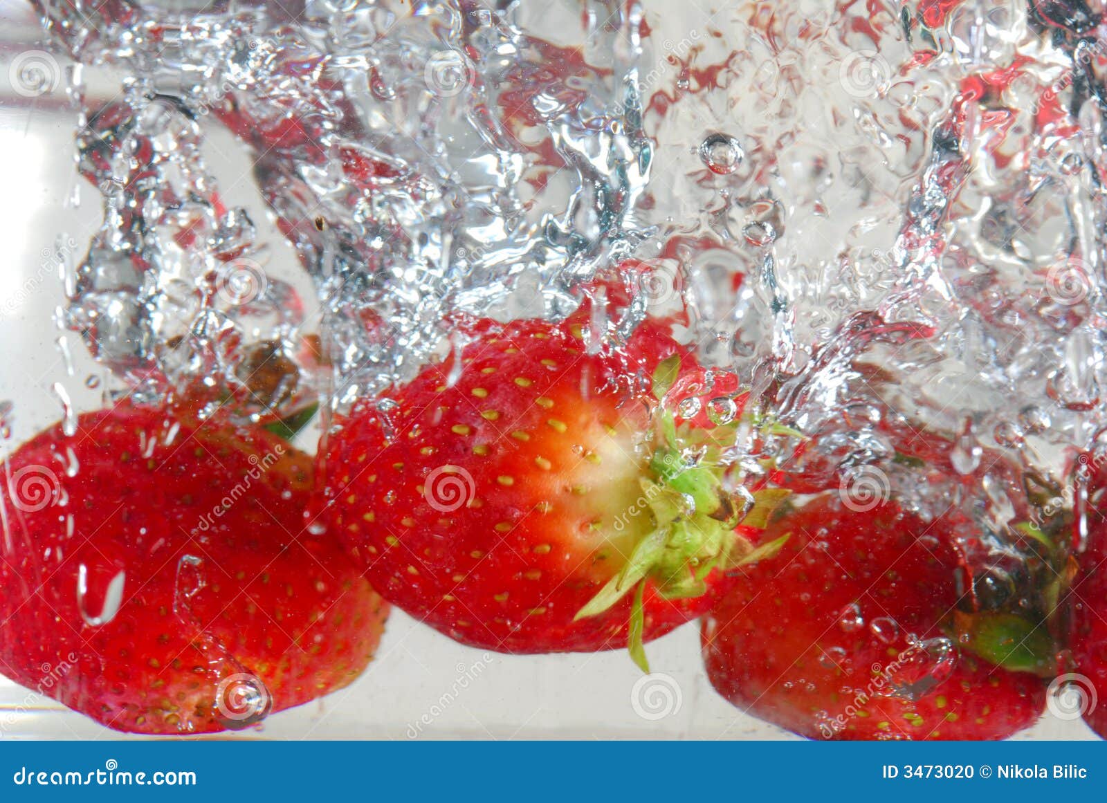 7,835 Mess Water Stock Photos - Free & Royalty-Free Stock Photos from ...