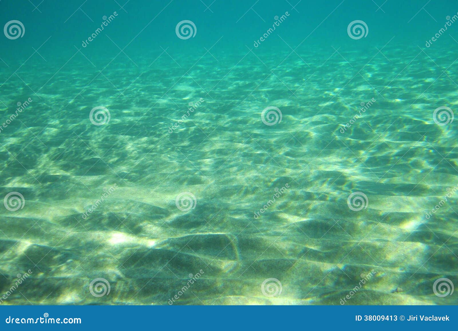 Under Water Scene in the Sea Stock Image - Image of underwater, life ...
