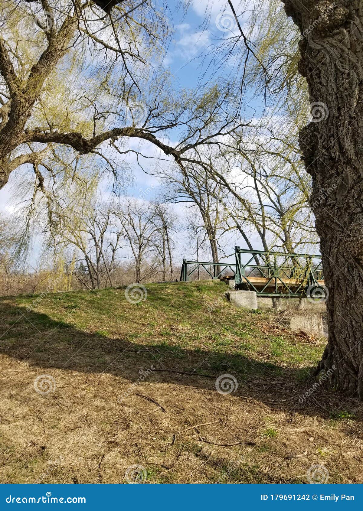 Under a Willow Tree stock photo. Image of landscape - 179691242