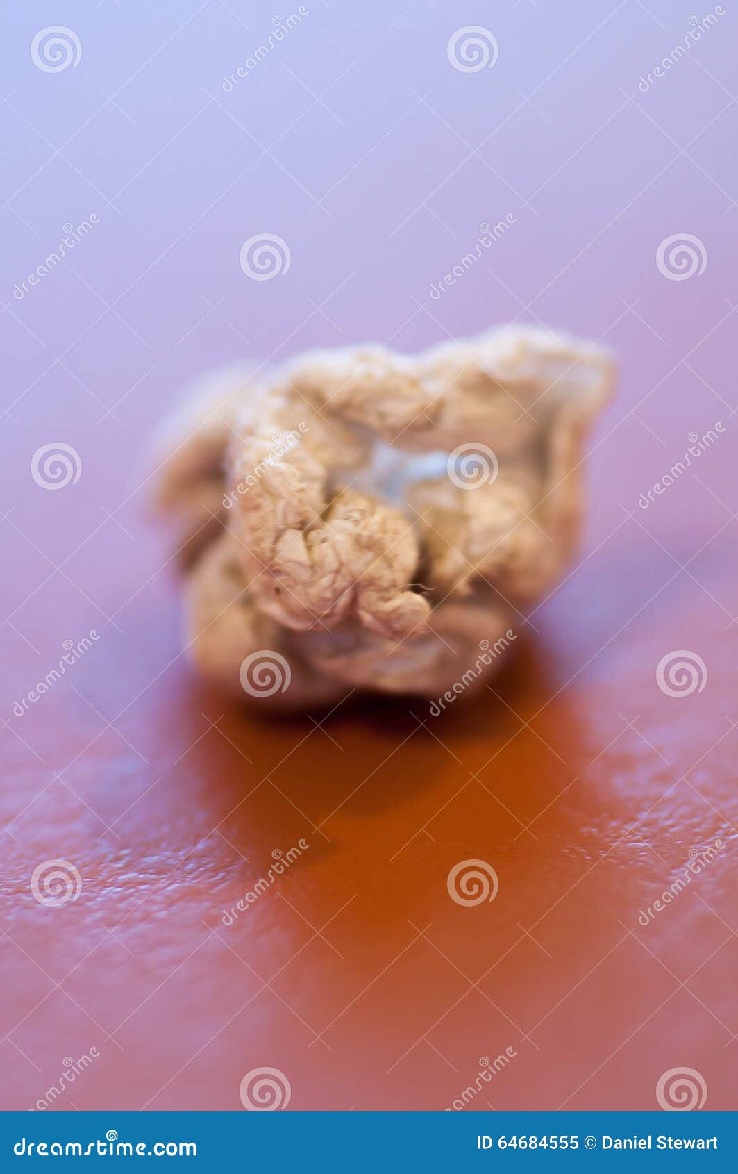 Under Wraps stock image. Image of discarded, garbage - 64684555