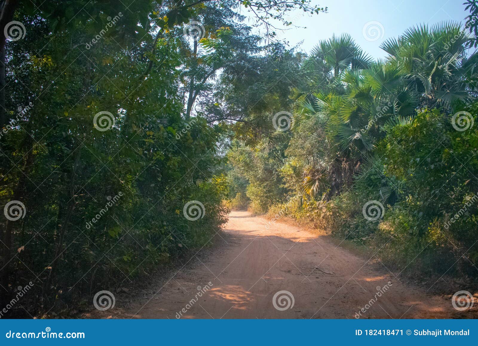 A Underdeveloped Road of a Village between a Deep Forest Stock Image ...