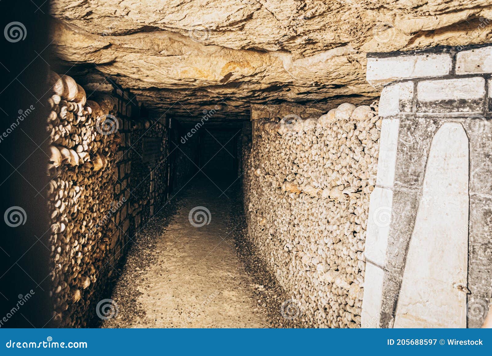 Underground Catacomb Passageway with Walls Made of Rows of Bones and ...