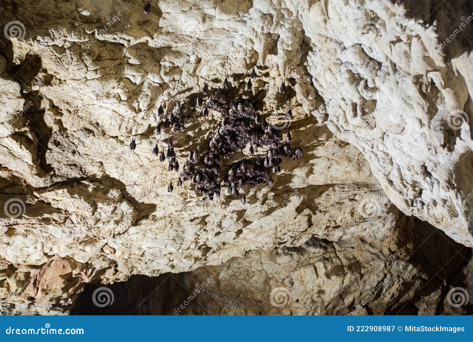 Underground Cave, Amazing Scene , View of Stalactites and Stalagmite ...
