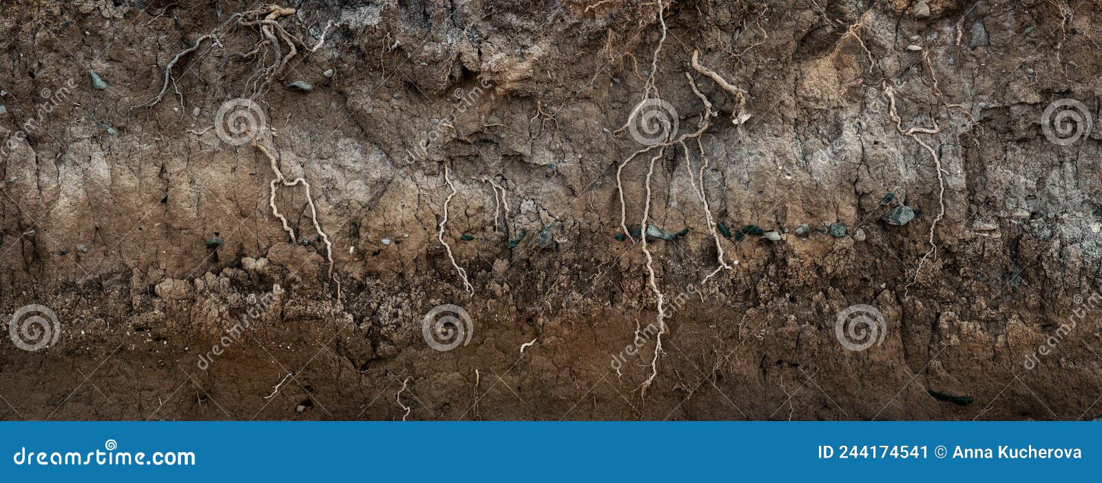 Underground Earth Texture, Soil Layers Panorama Stock Image - Image of ...