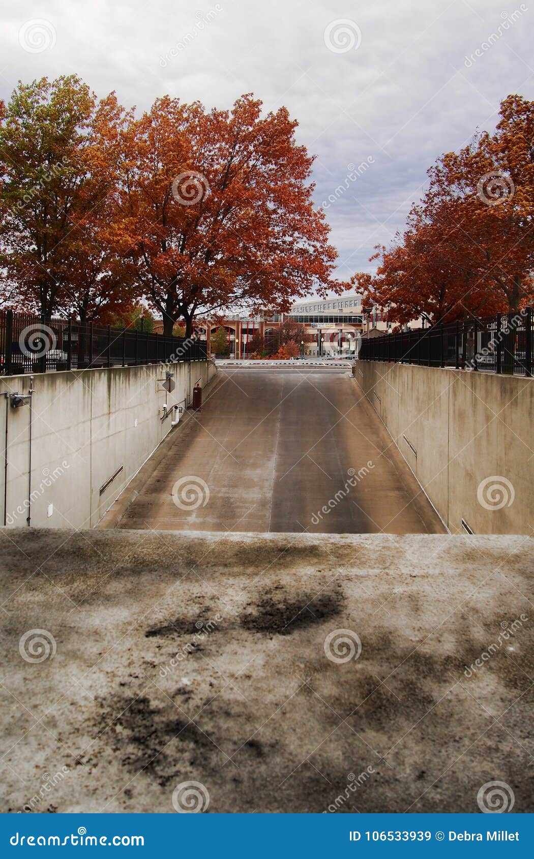 Underground Driveways Ideas