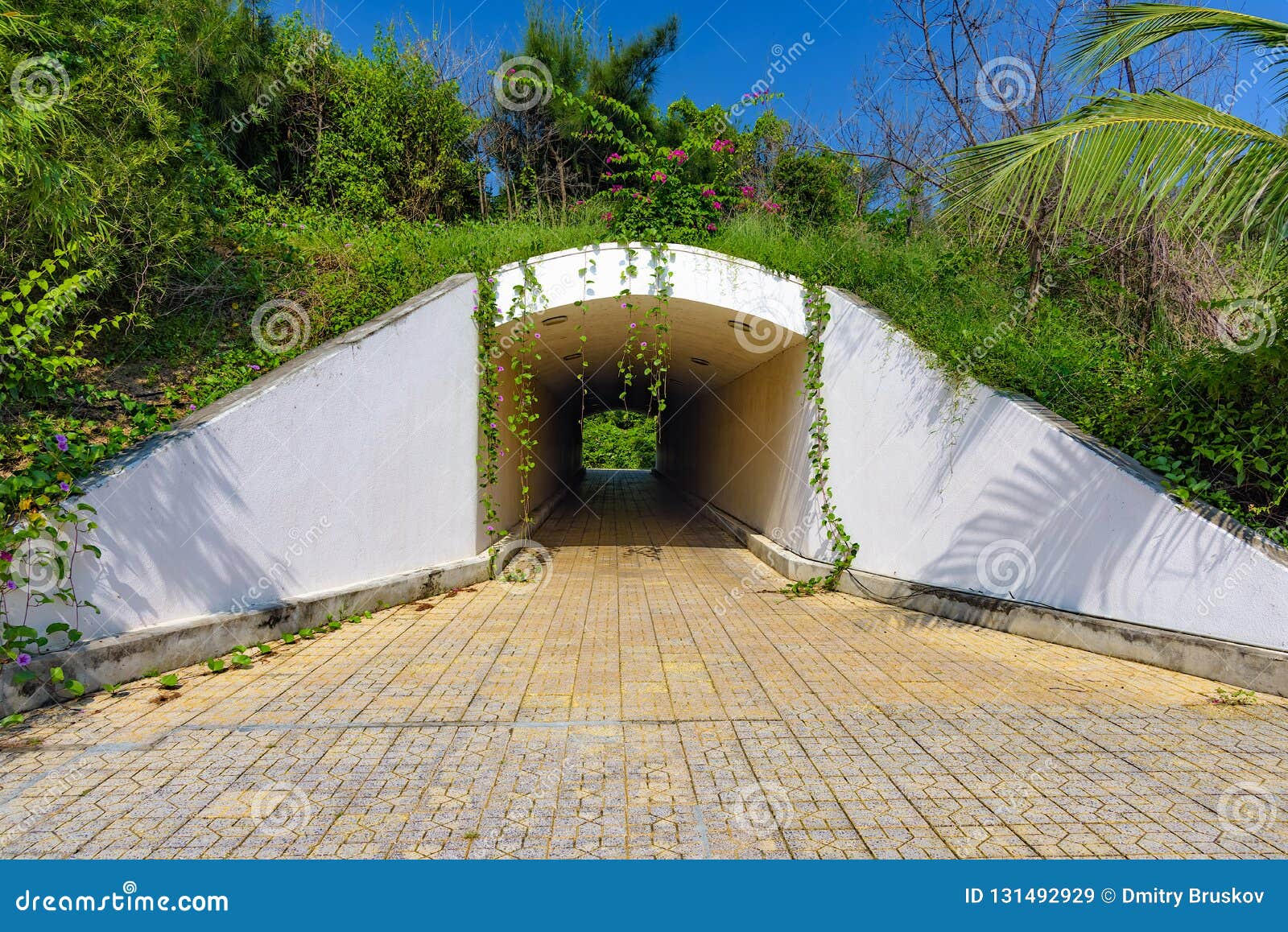 Underground Pedestrian Tunnel through Ceiling Ceiling Arch Stock Image ...