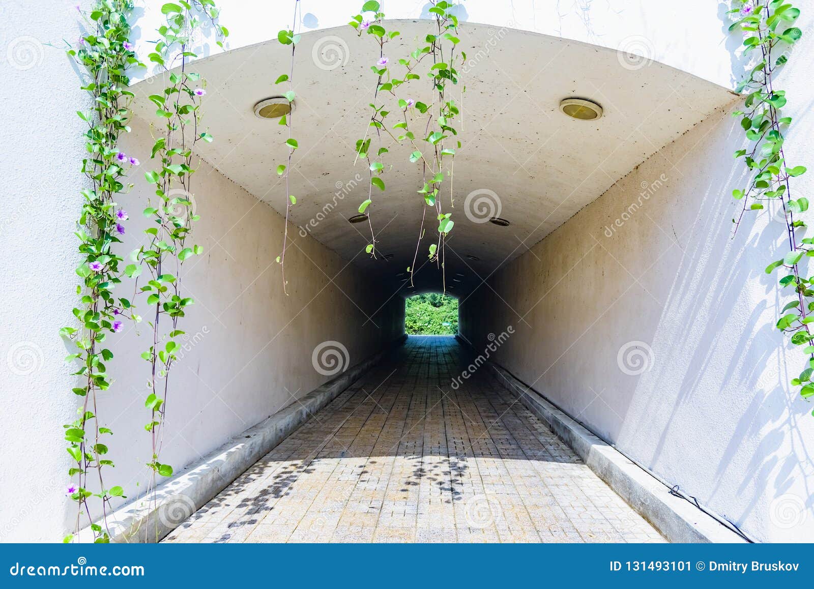 Underground Pedestrian Tunnel through Ceiling Ceiling Arch Stock Image ...