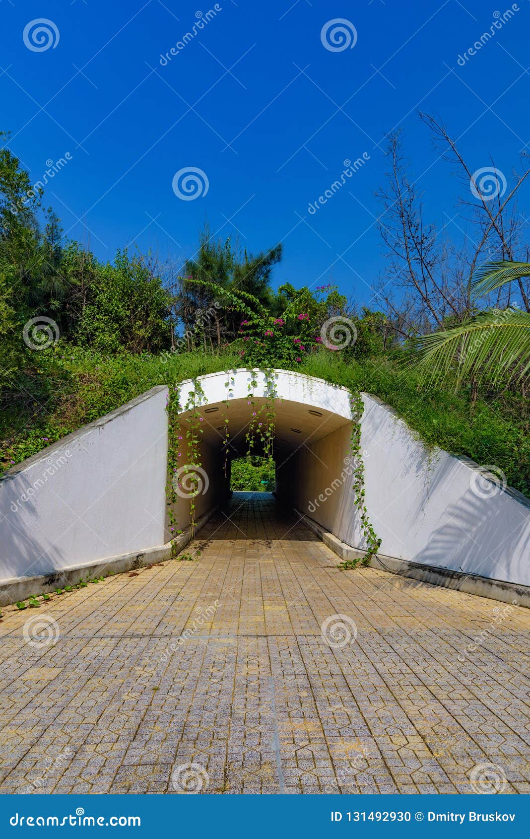 Underground Pedestrian Tunnel through Ceiling Ceiling Arch Stock Photo ...