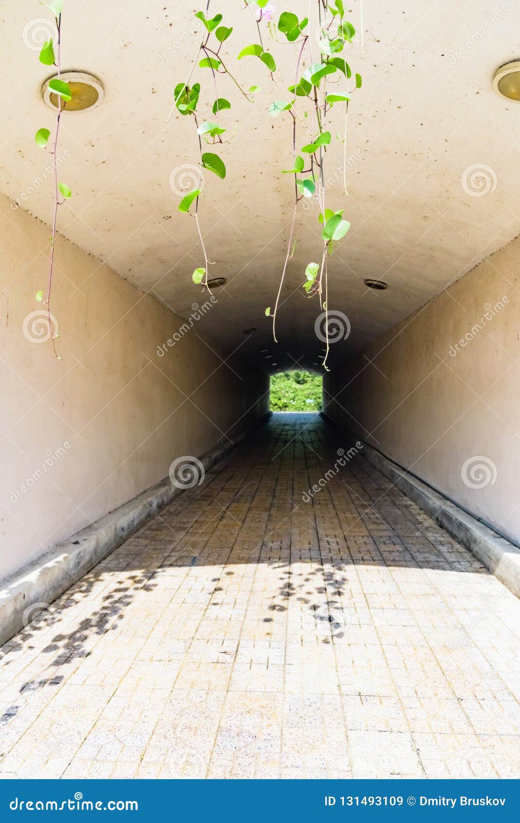 Underground Pedestrian Tunnel through Ceiling Ceiling Arch Stock Image ...