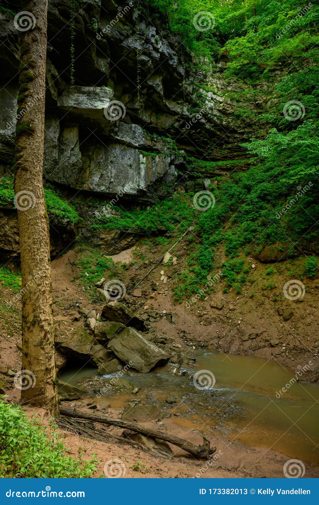 An Underground River Emerges in Mammoth Cave Stock Image - Image of ...
