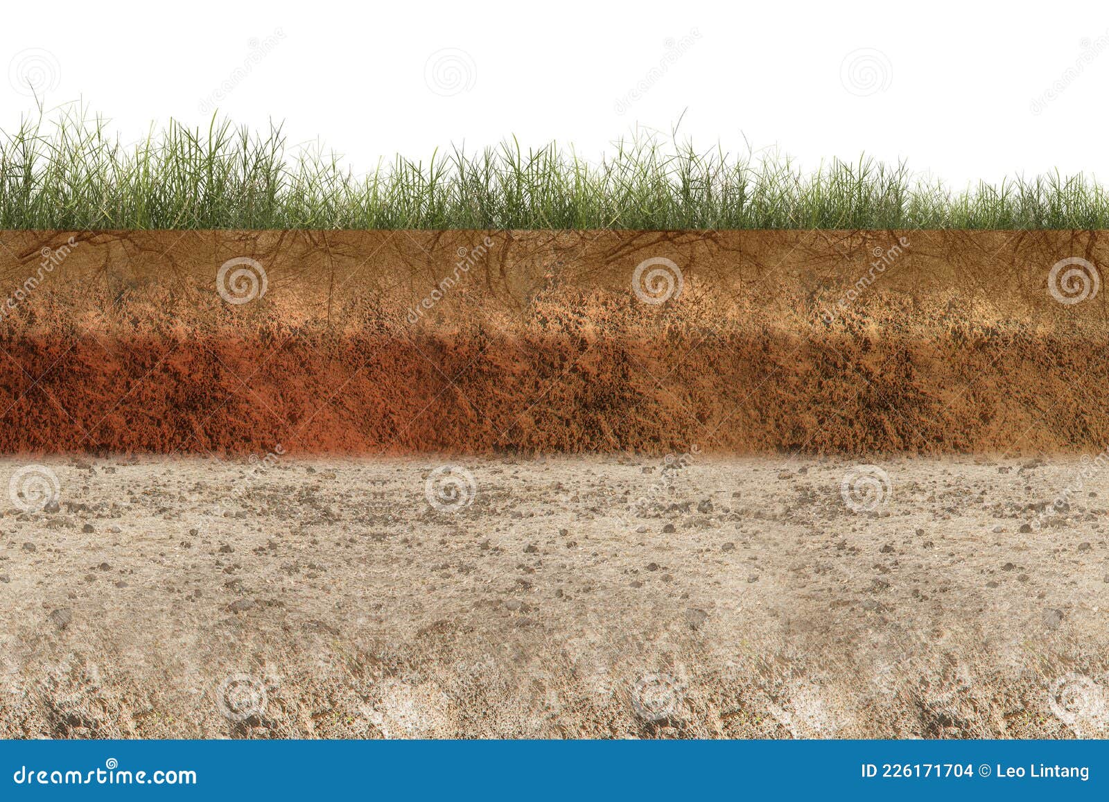 Underground Soil Layer of Cross-section Earth with Grass on the Top ...