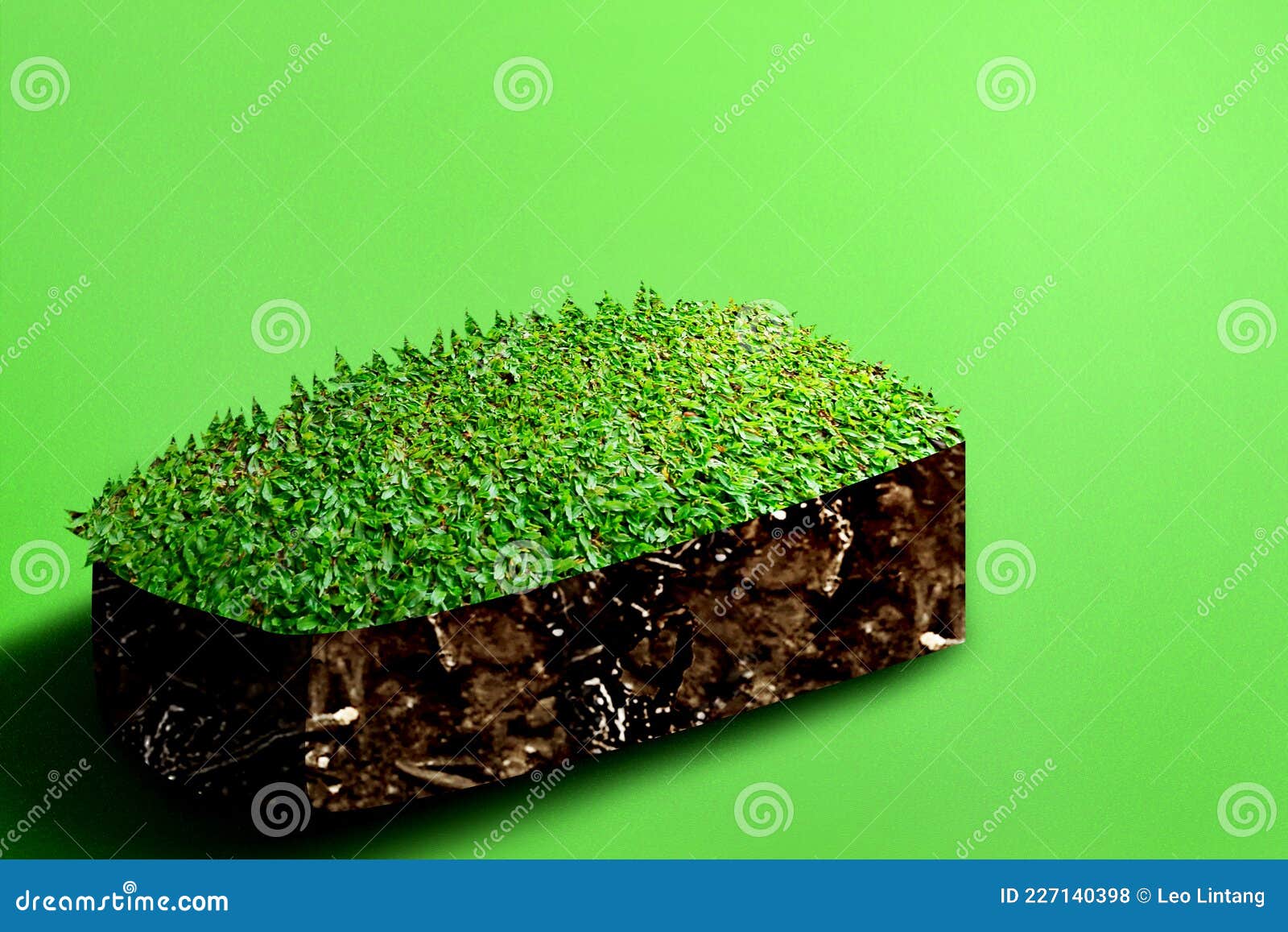 Underground Soil Layer of Cross-section Earth with Meadow on the Top ...