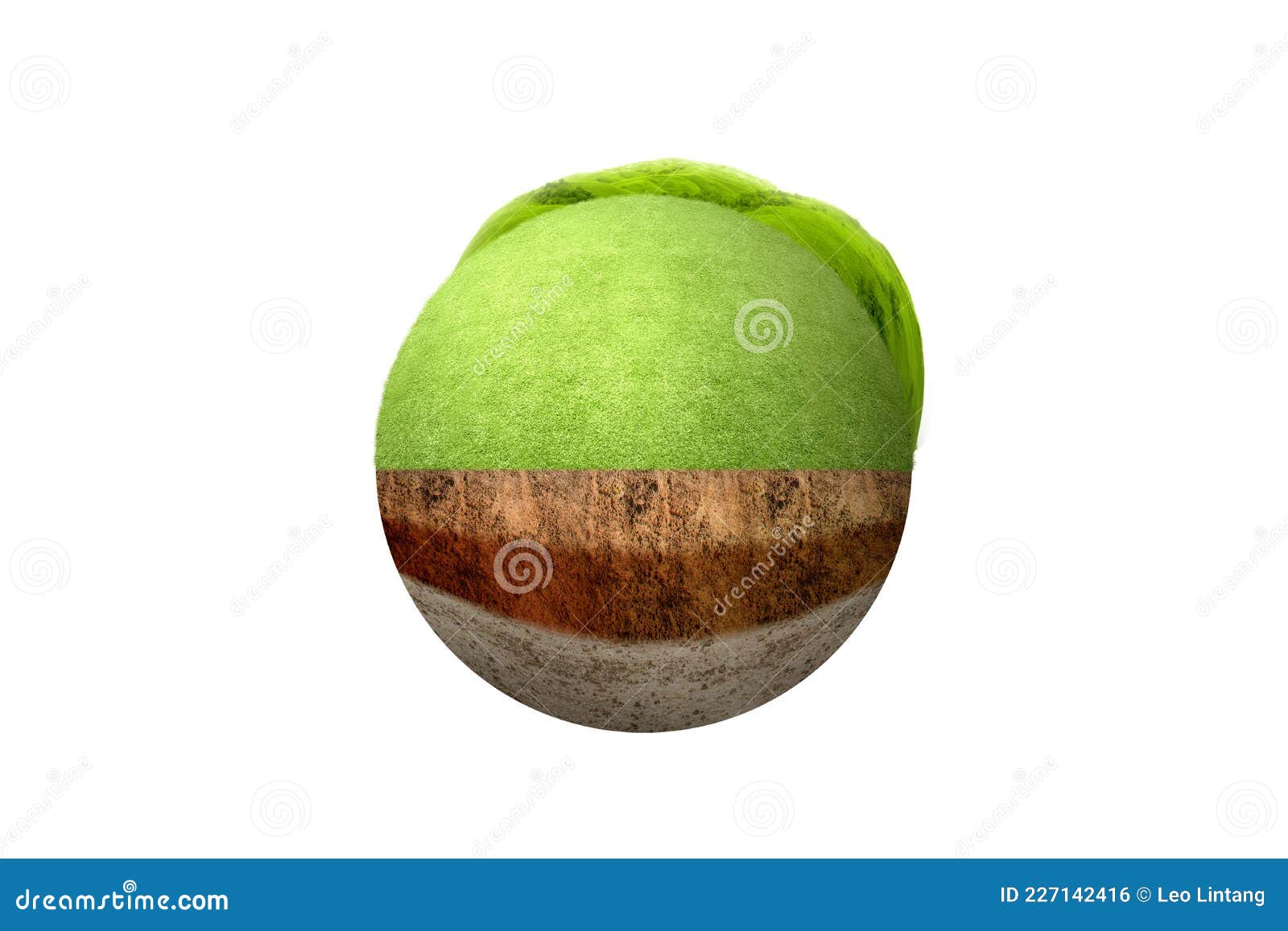 Underground Soil Layer of Cross-section Earth with Meadow on the Top ...