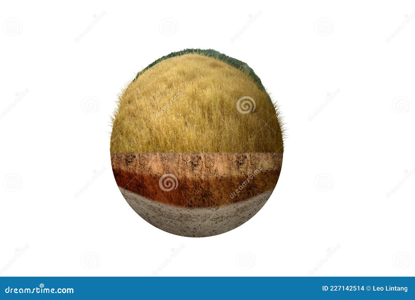 Underground Soil Layer of Cross-section Earth with Savanna on the Top ...