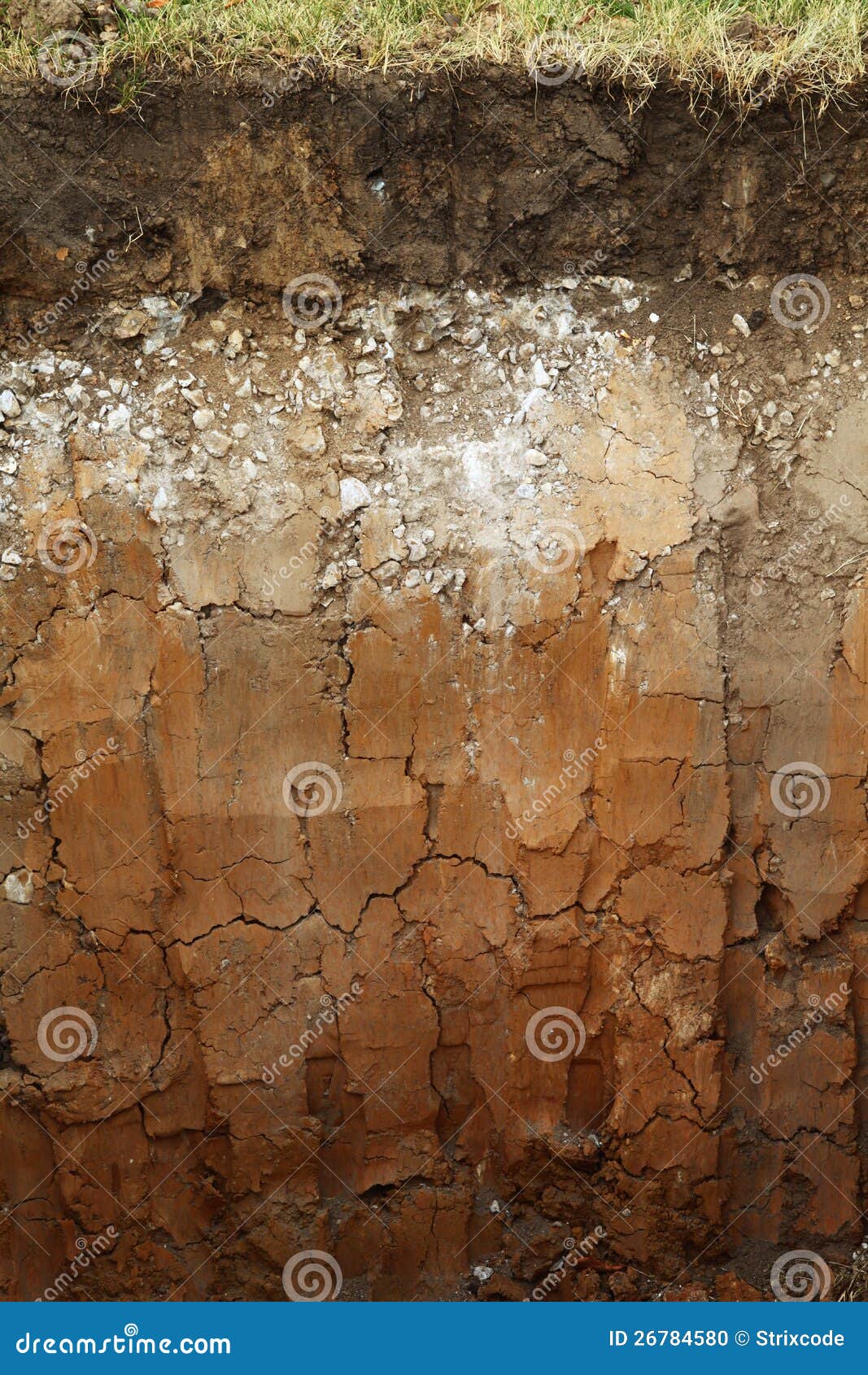 Underground soil layers stock photo. Image of loam, stone - 26784580