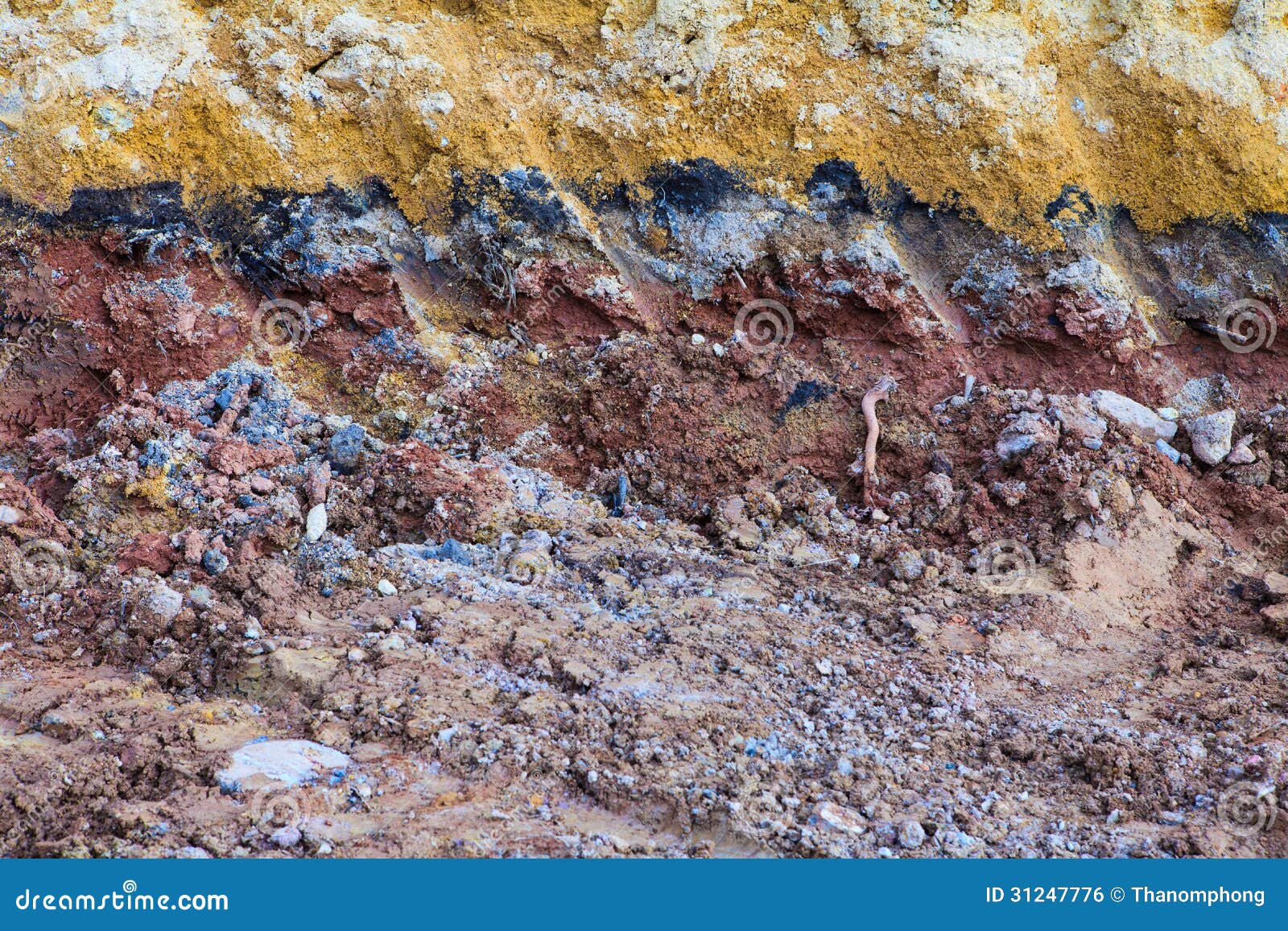 Underground Soil Layer Of Cross-section Earth With Savanna On The Top ...