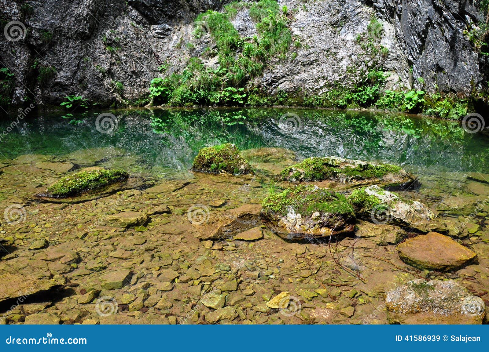 Underground Spring from a Cave Stock Image - Image of pond, emerald ...