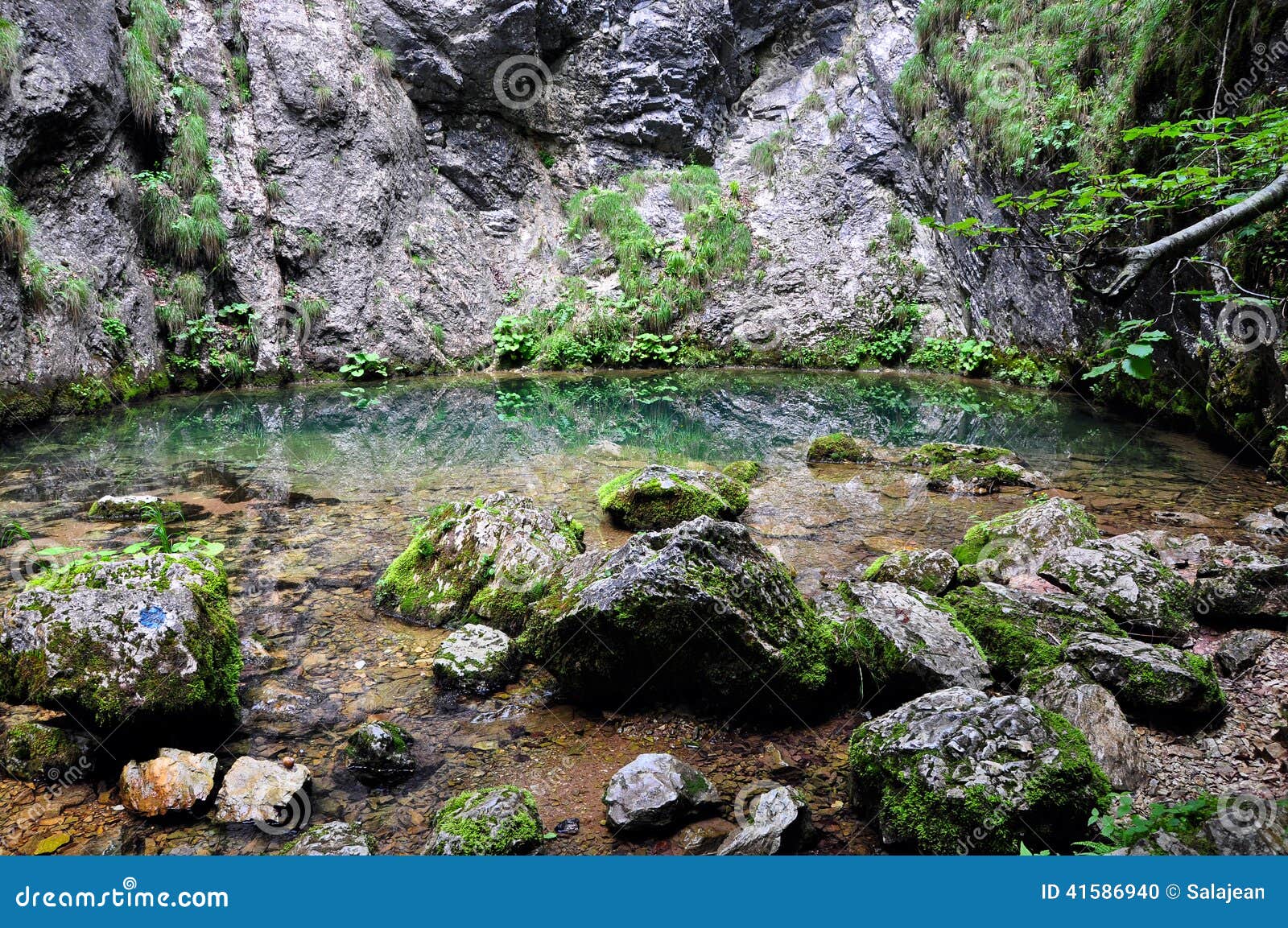 Underground Spring from a Cave Stock Photo - Image of reflection ...