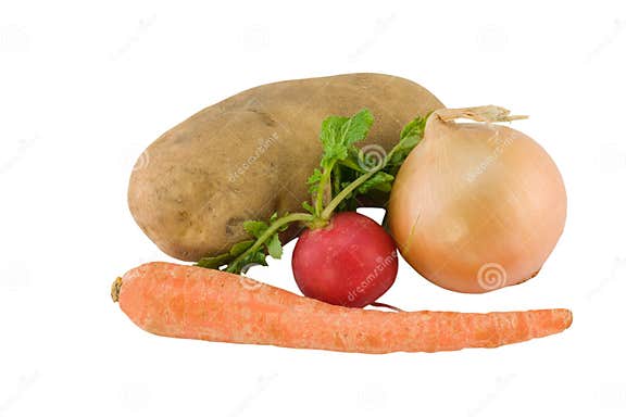 Underground Vegetables on White Stock Photo - Image of path, onion: 4815118