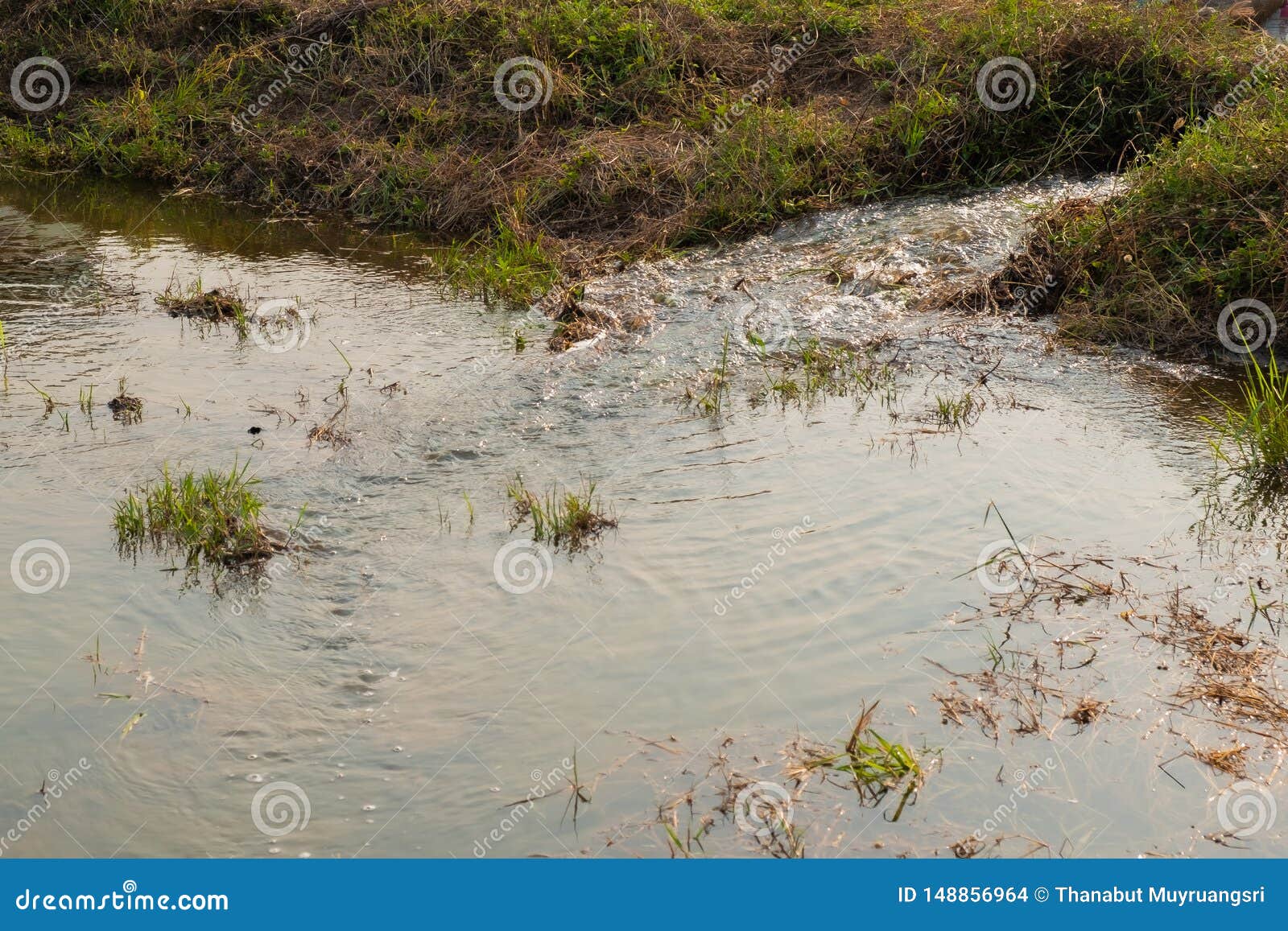 Underground Water Flow in To Plantation Stock Photo - Image of farming ...
