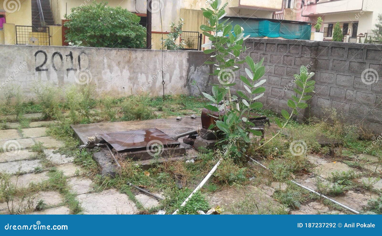 Underground Water Tank Covered by Grass and Trees Stock Photo - Image ...