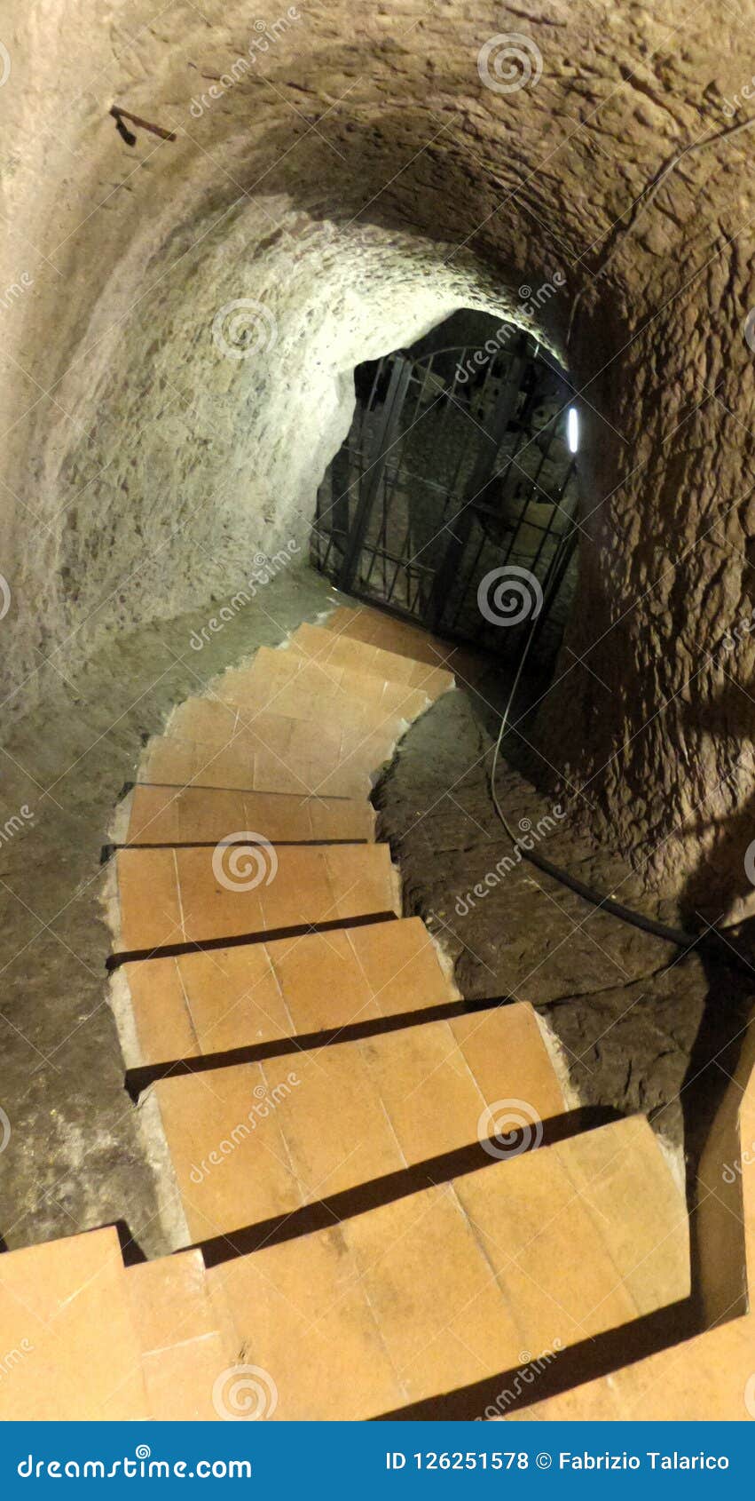 Wine cellar stock photo. Image of liquor, columns, boxes - 126251578