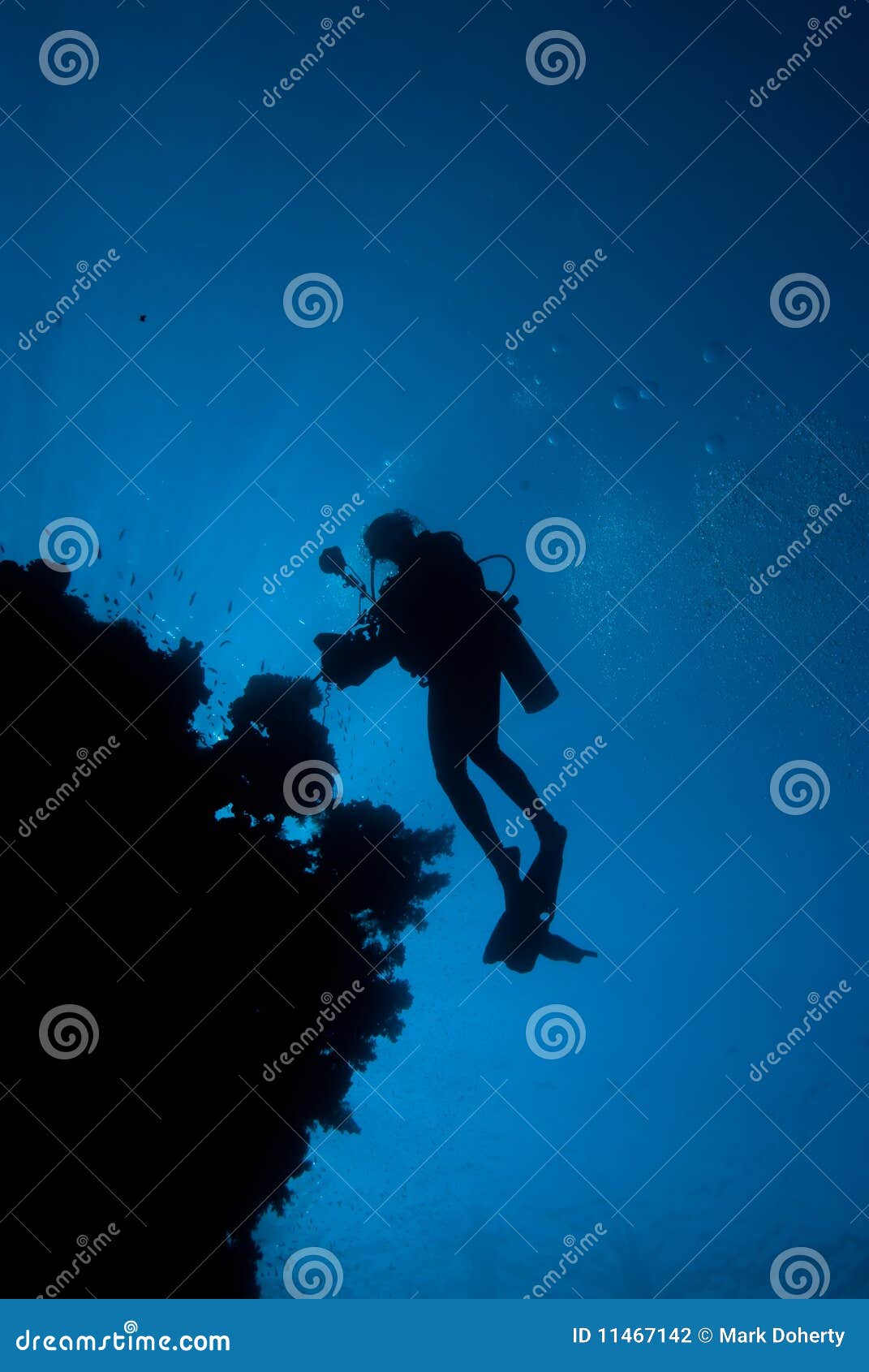 Underneath View of an Underwater Photographer Stock Photo - Image of ...