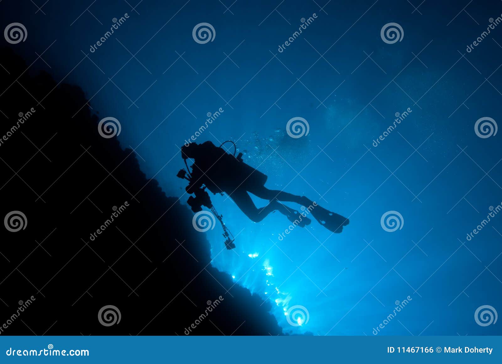Underneath View of an Underwater Photographer Stock Photo - Image of ...