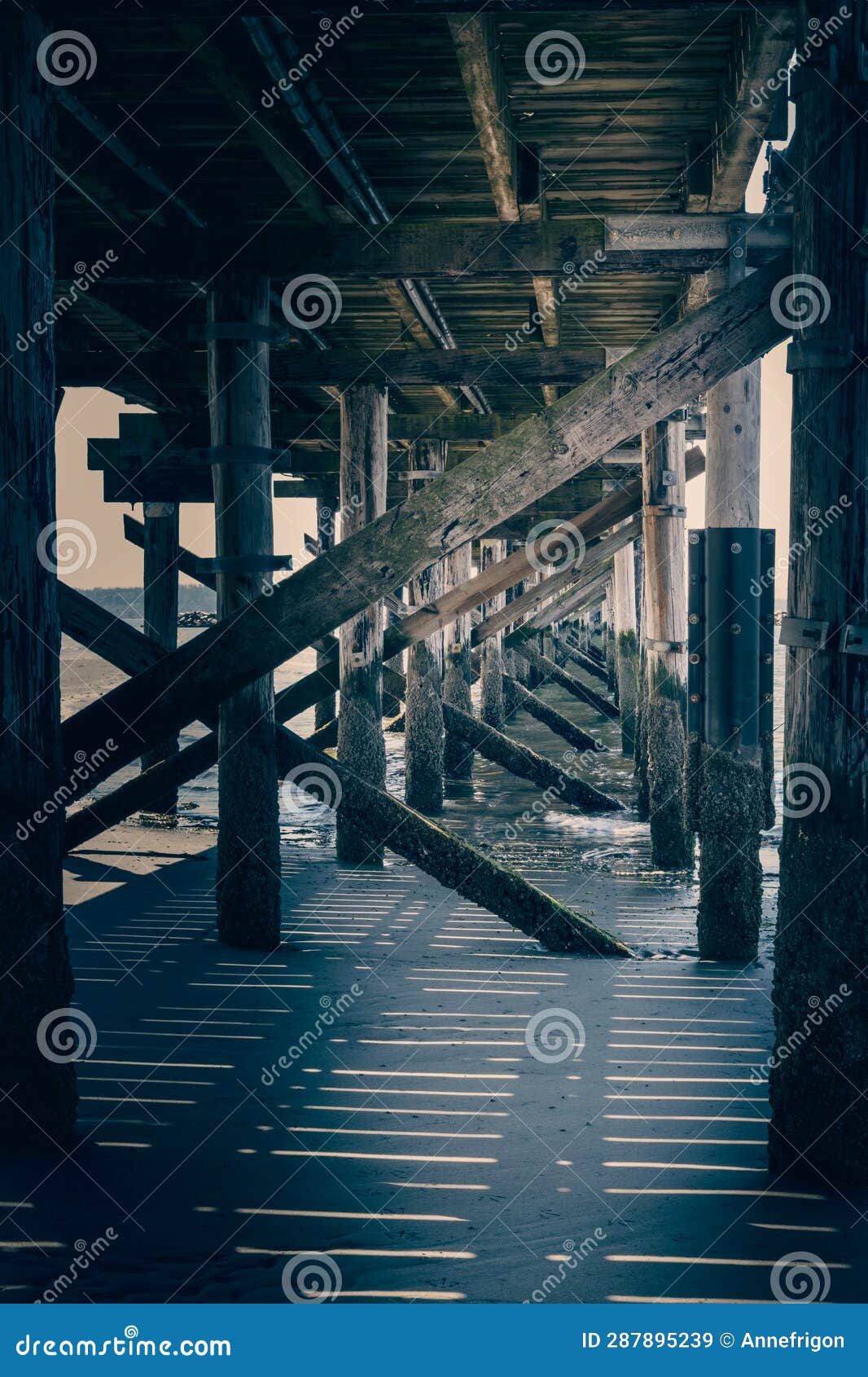 Underneath White Rock Pier at Low Tide Stock Image - Image of pillars ...