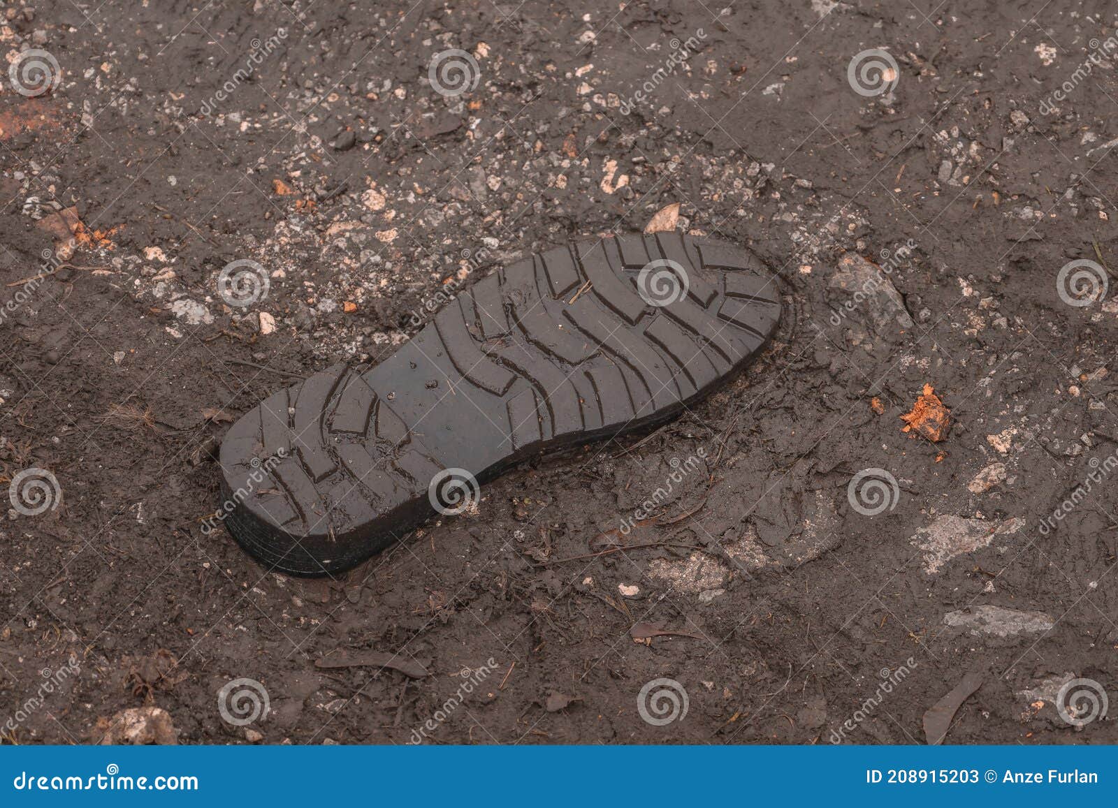 Underside of a Shoe Tread Visible that it Fell Off and is Now Stuck in ...