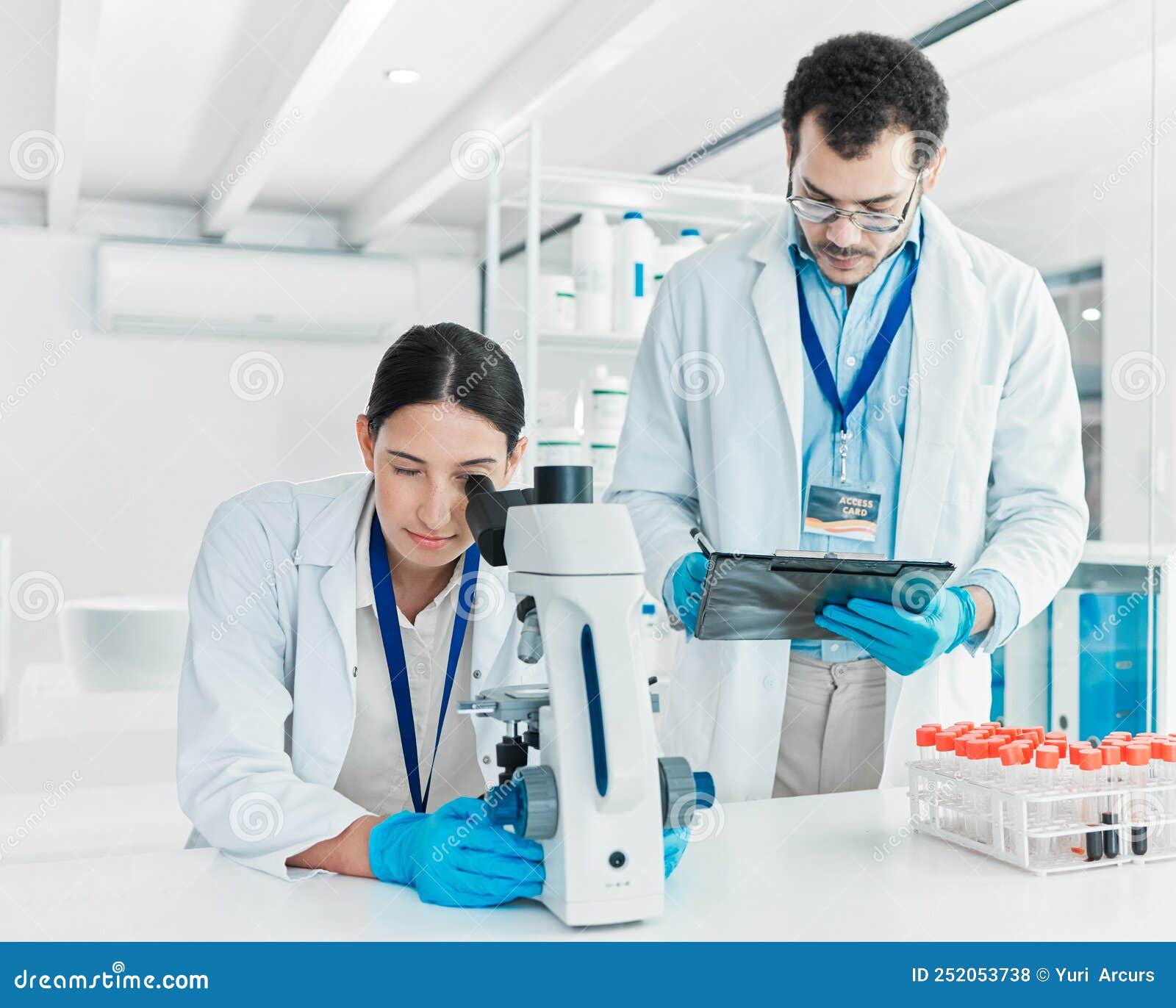 Understanding the Data in a Better Manner. Two Young Scientists Working ...