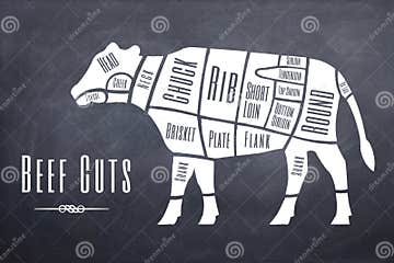 Understanding the Different Parts and Cuts of Beef Stock Image - Image ...