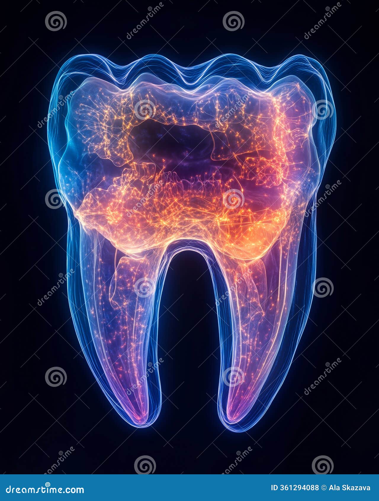 Understanding the Intricate Neural Pathways within a Tooth S Structure ...