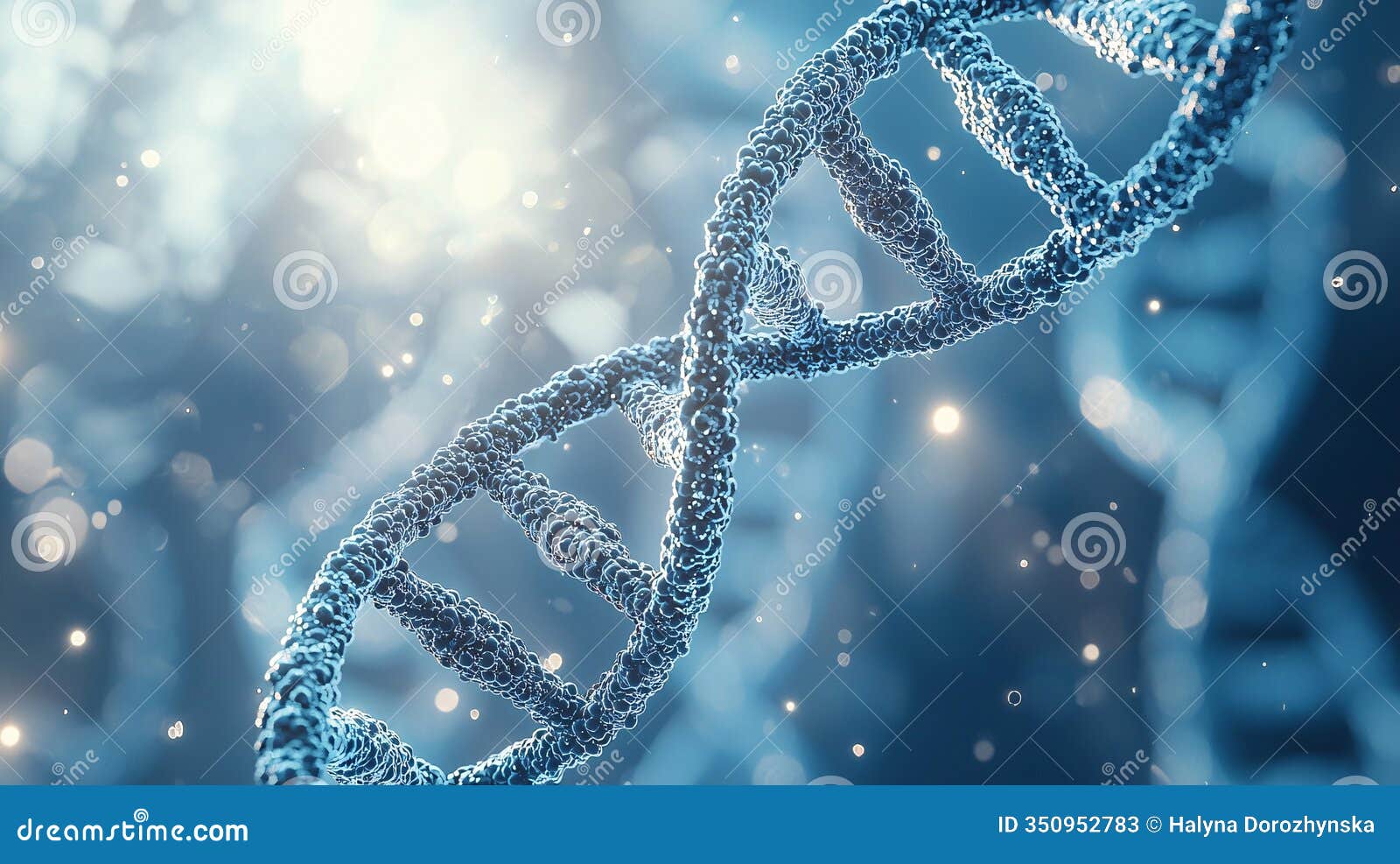 Understanding the Intricate Structure of the DNA Molecule in Detail ...