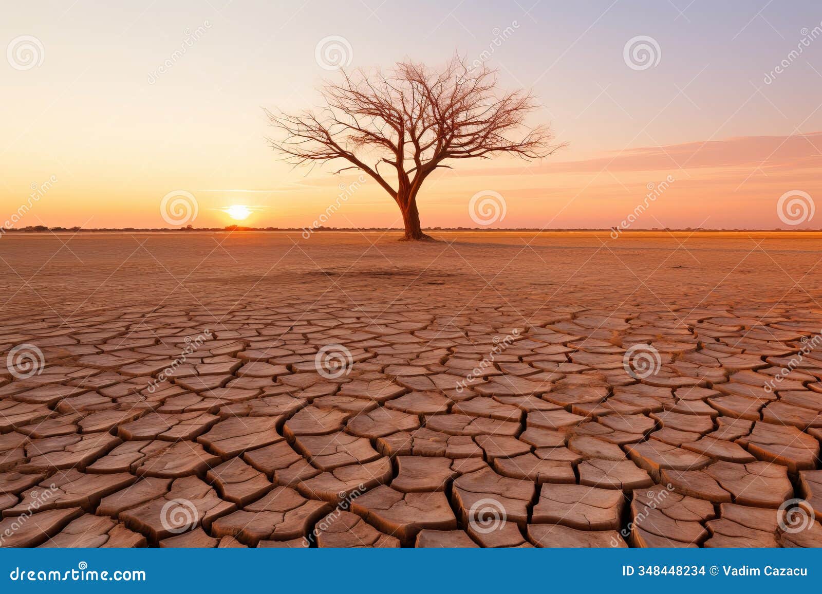 Understanding The Causes And Effects Of Tsunamis A Comprehensive ...