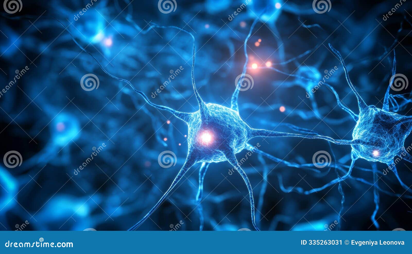 Understanding Neurons the Role of Nerve Cells in Electrical Signals and ...