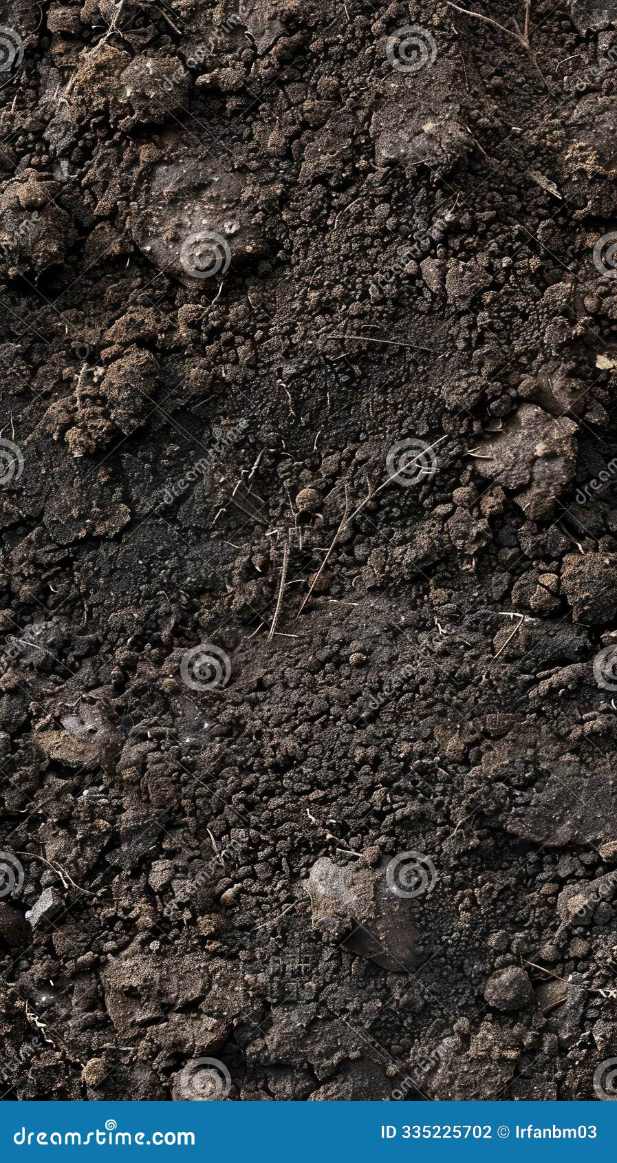 Understanding Soil Texture. Compacted, Dense, and Poorly Drained Soil ...