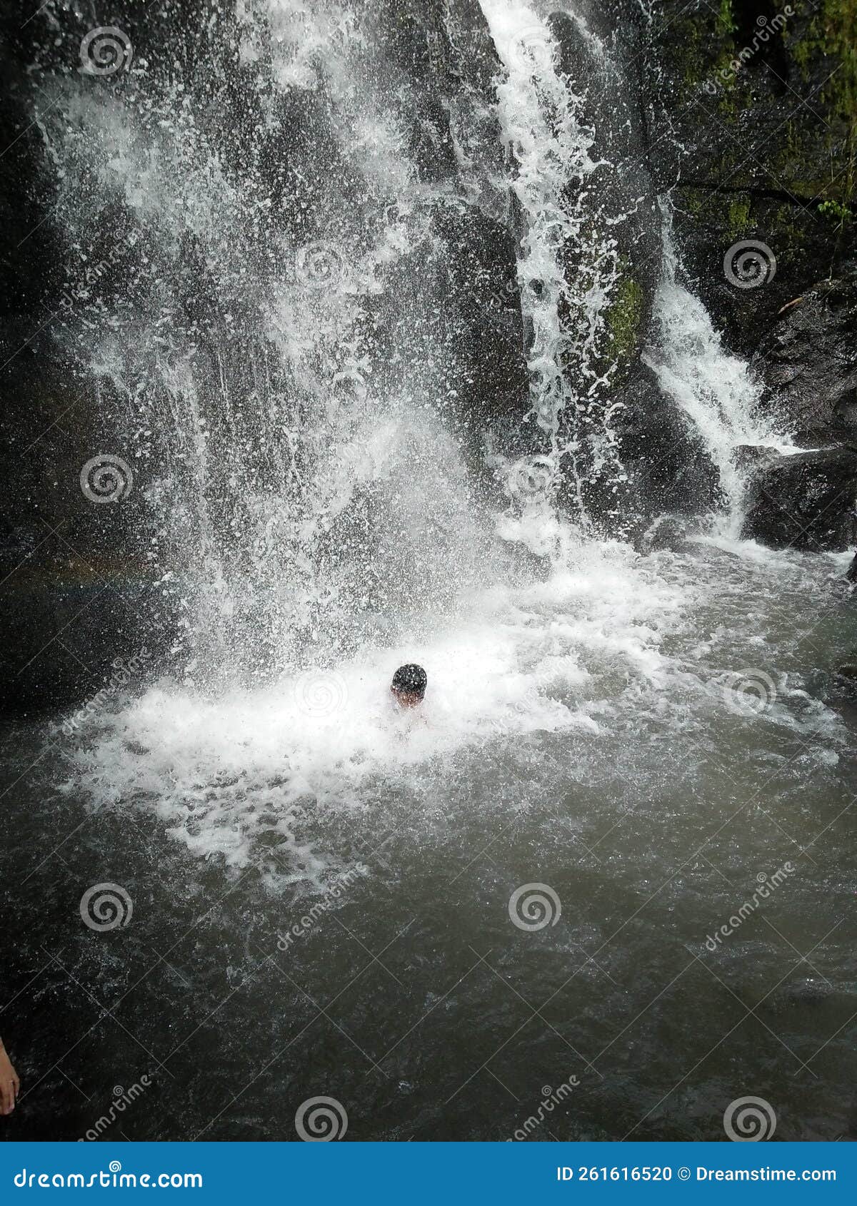 Underwater stock photo. Image of sidamanik, underwate - 261616520