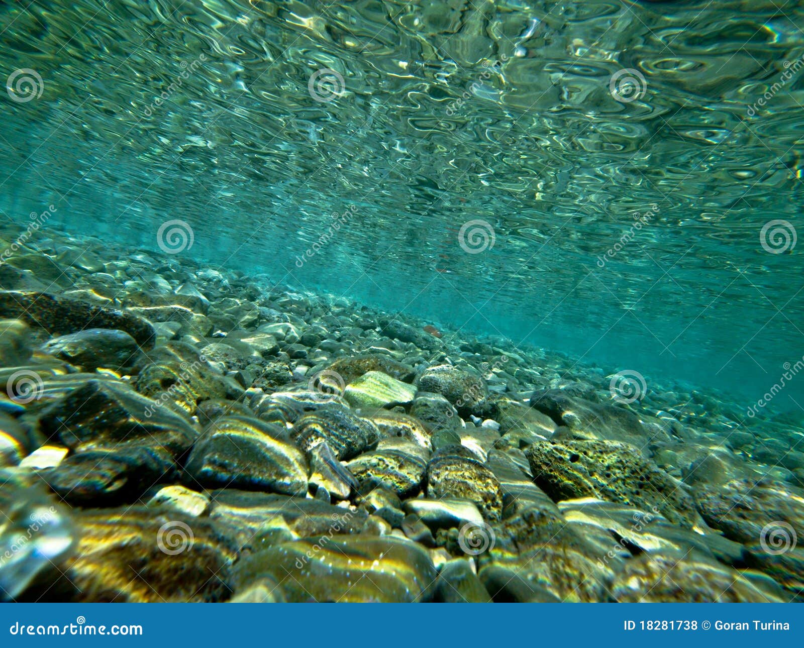 Underwater stock photo. Image of stones, beauty, ocean - 18281738