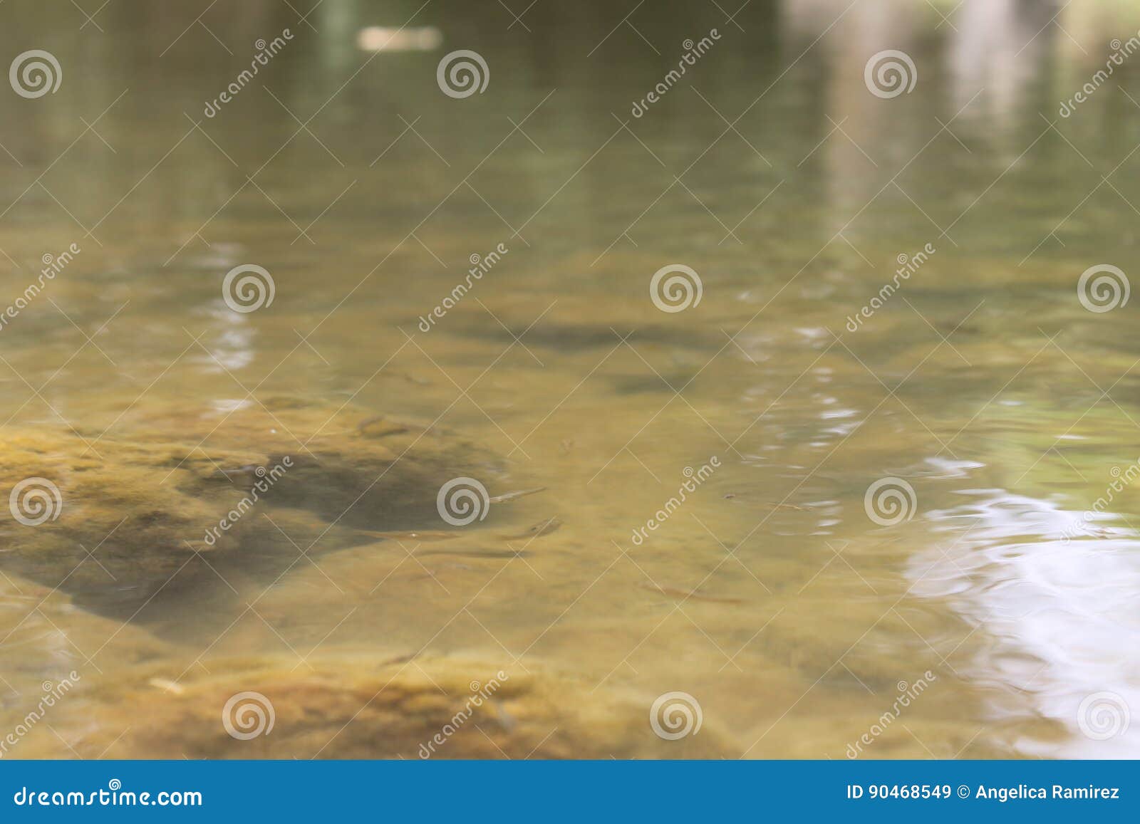 Underwater stock image. Image of background, nature, peace - 90468549