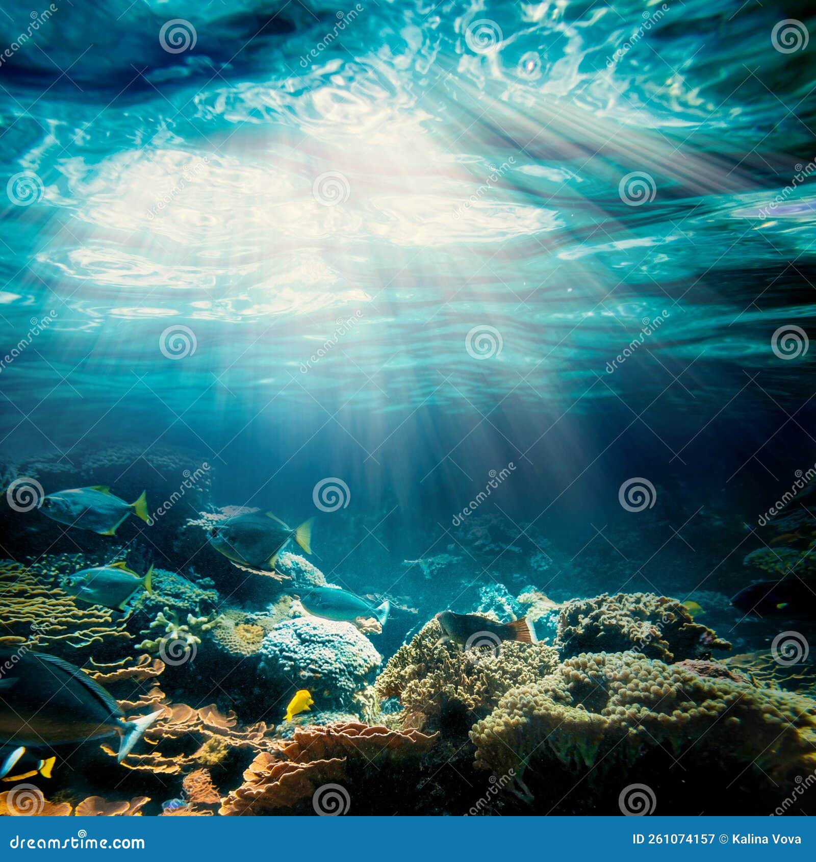 A Background Sand on the Beach Underwater Stock Image - Image of ripple ...