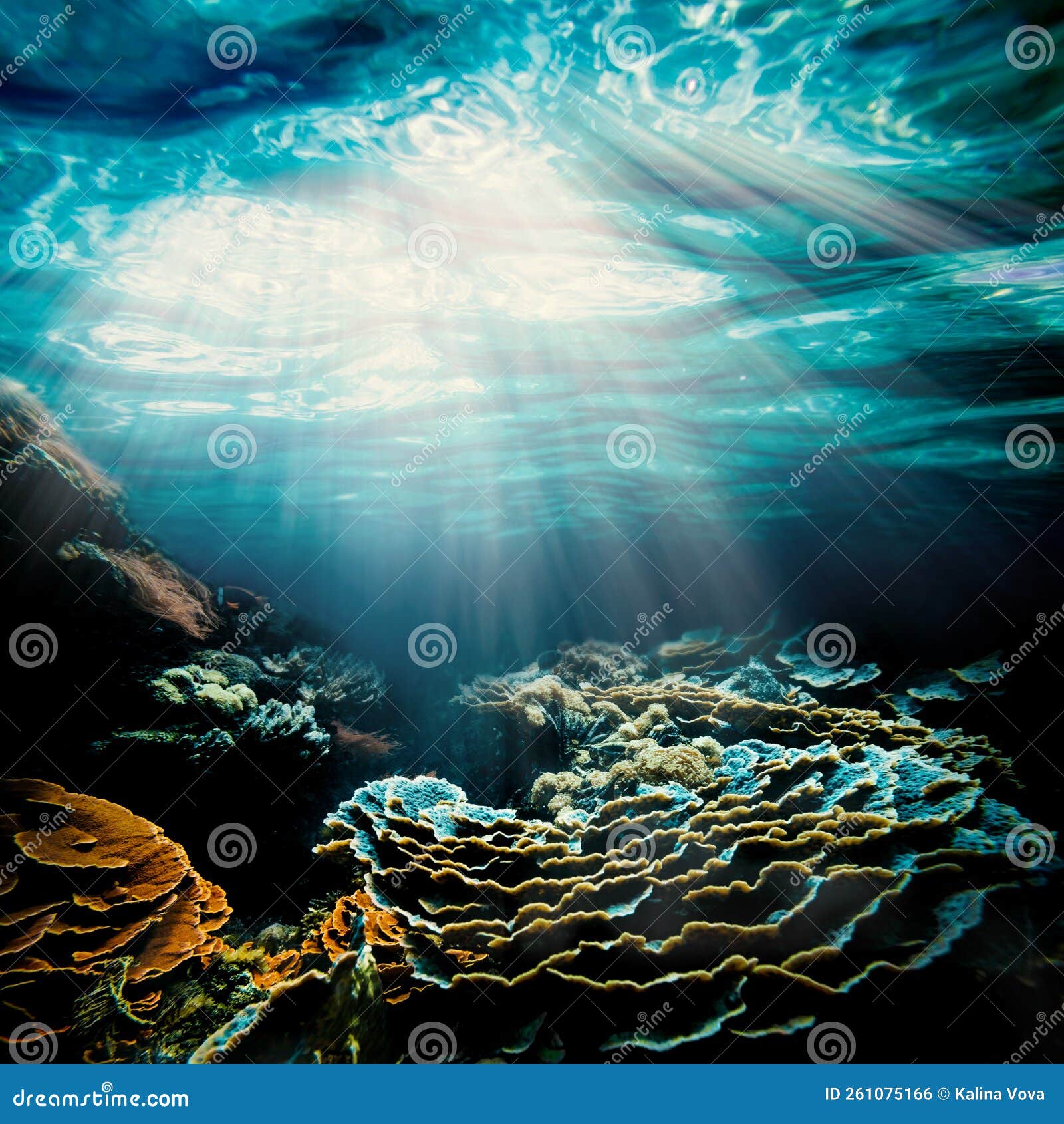 A Background Sand on the Beach Underwater Stock Photo - Image of rock ...