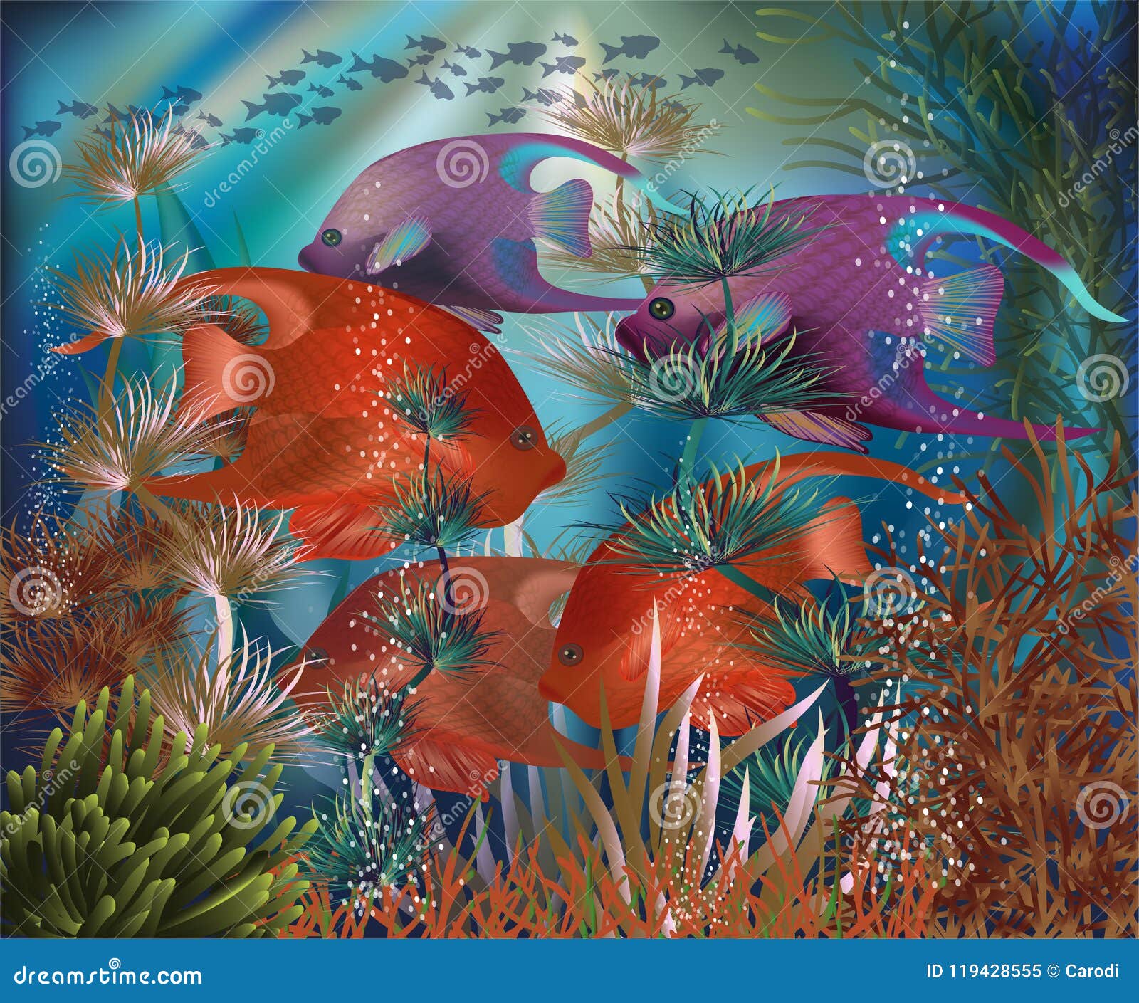 Underwater Banner With Shark And Tropical Fish, Vector | CartoonDealer ...