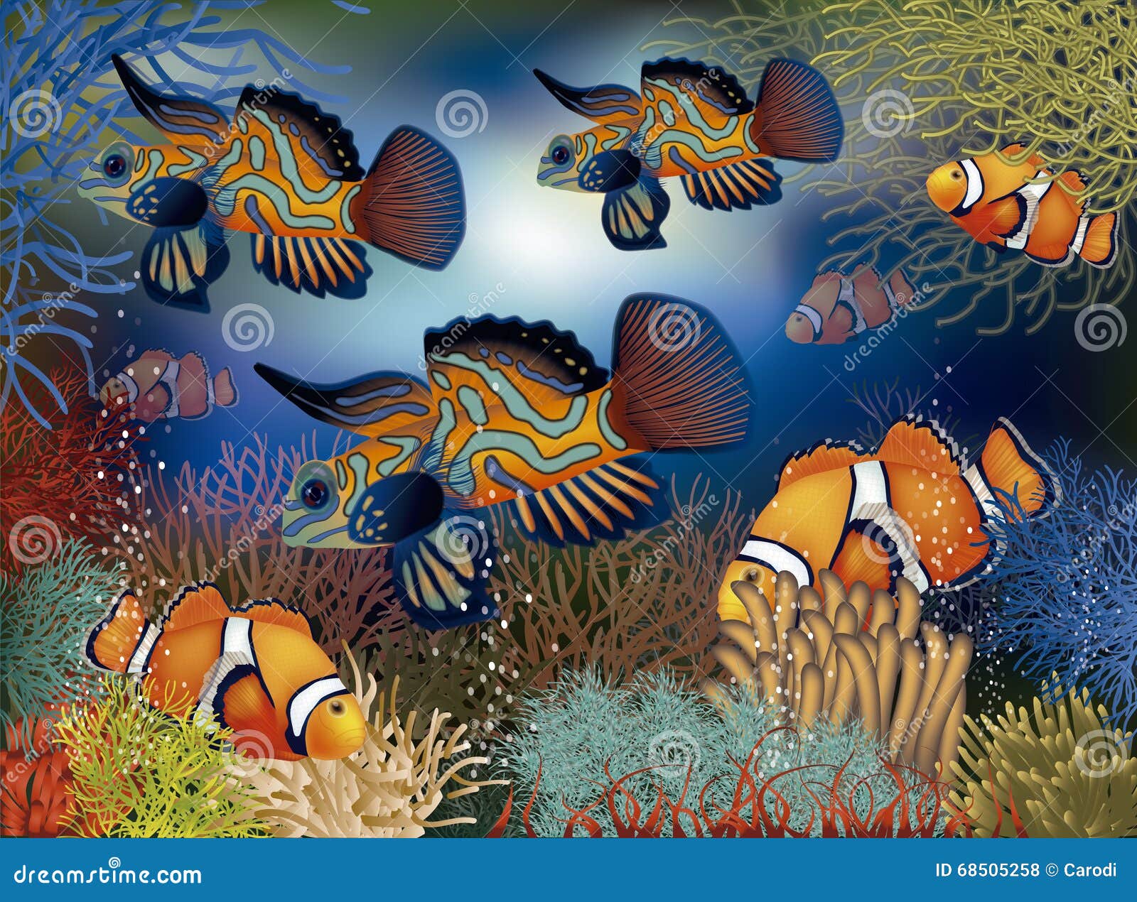 Underwater Banner With Betta Splendens And Cardinal Tetra Fish, Vector ...