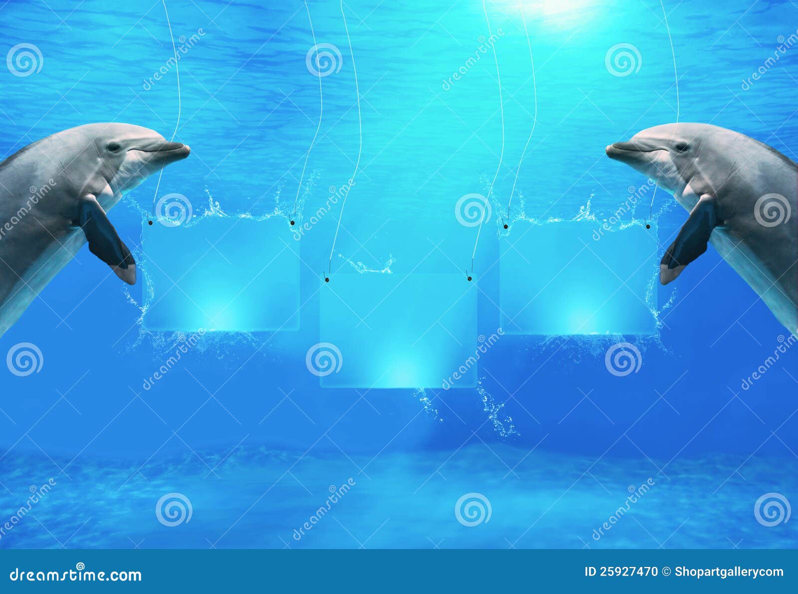 Underwater Banners with Dolphins Stock Illustration - Illustration of ...